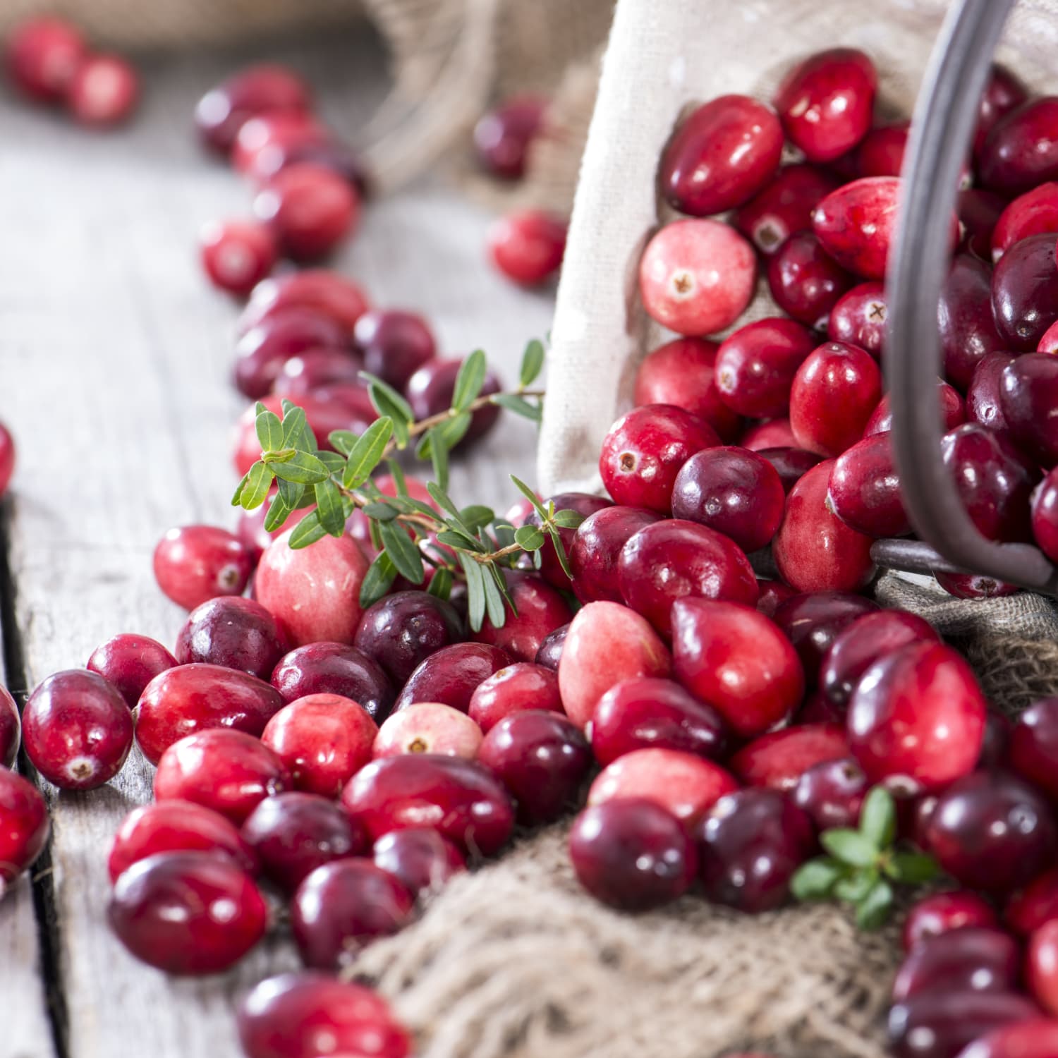 cranberry description