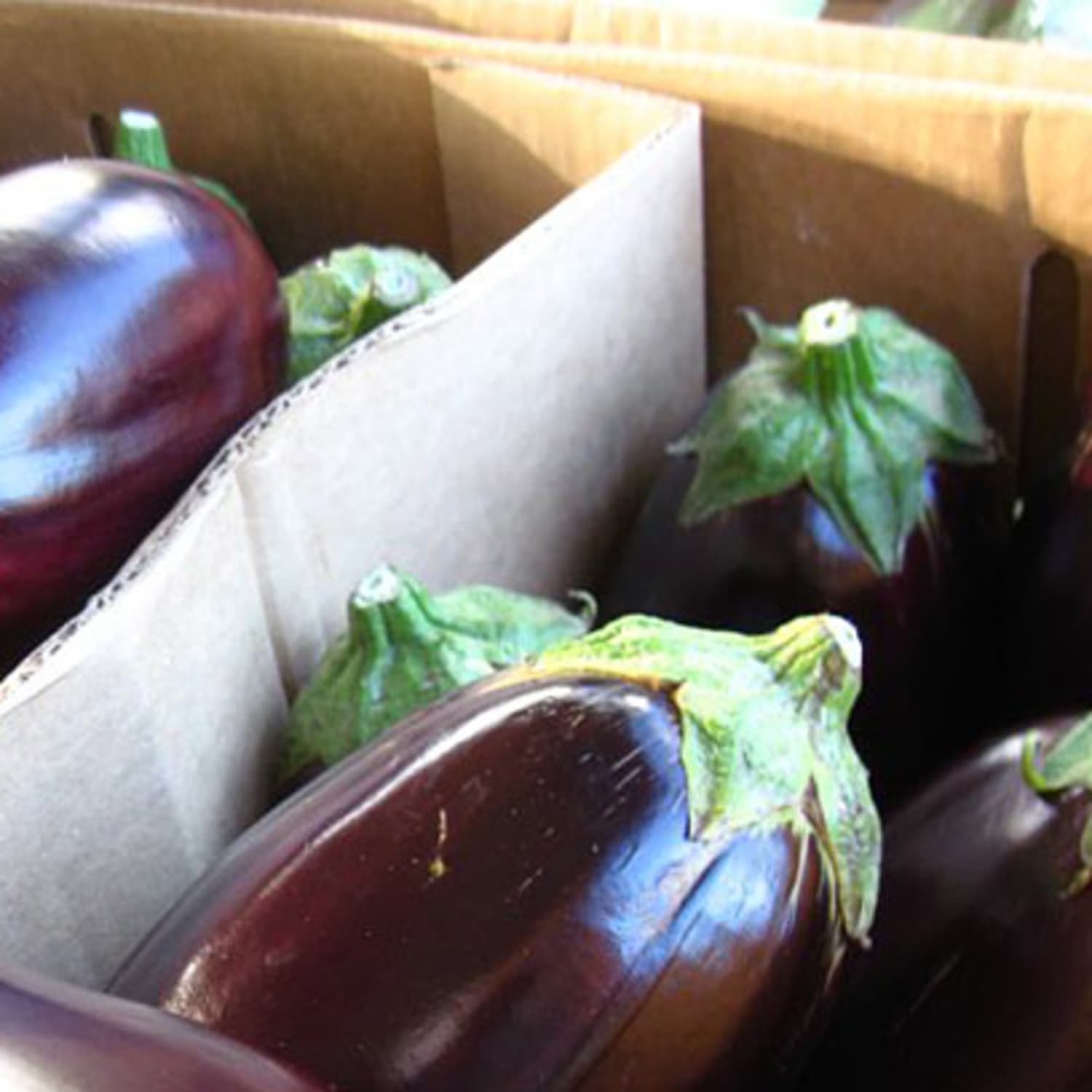 how long to cook eggplant on stove top