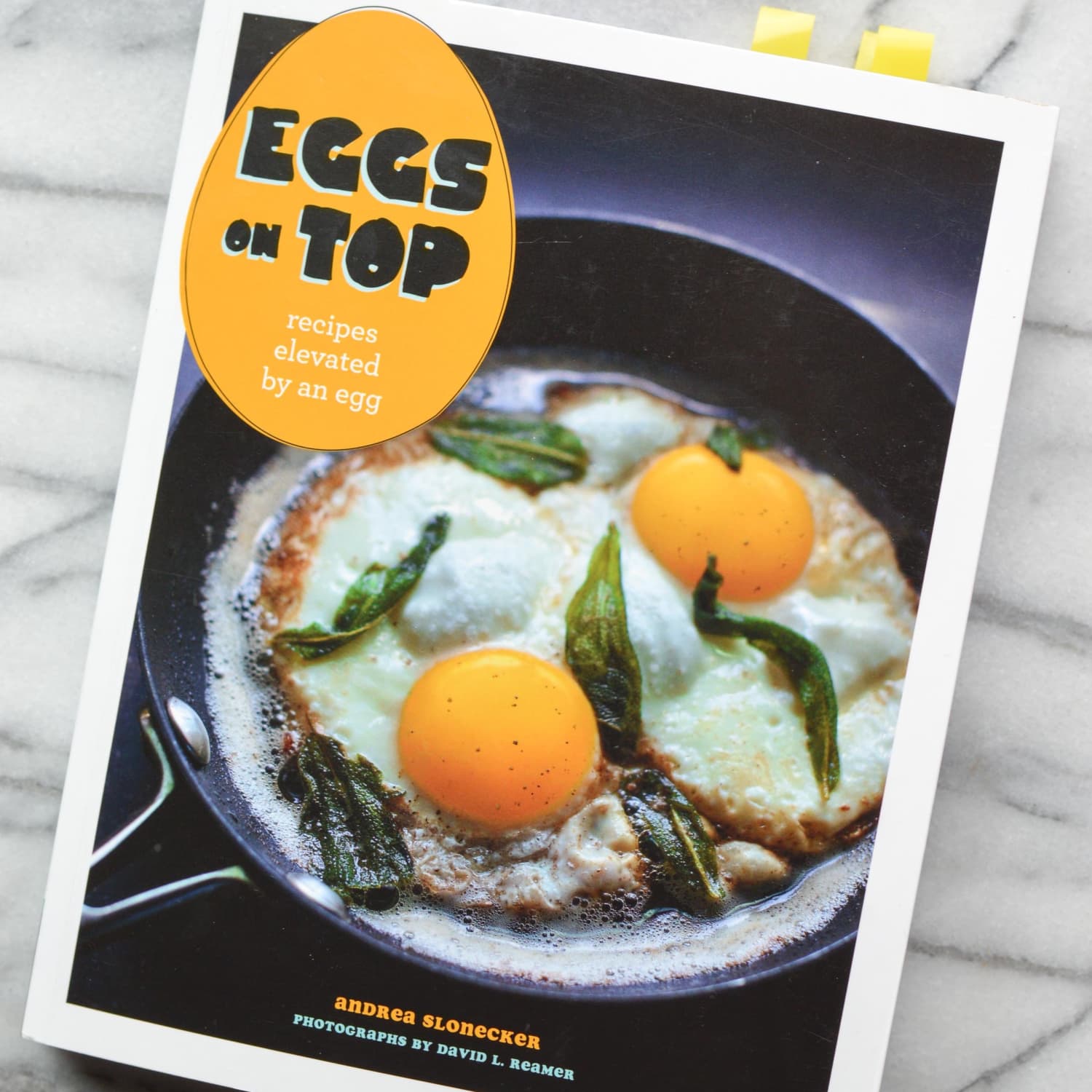 how to cook eggs book