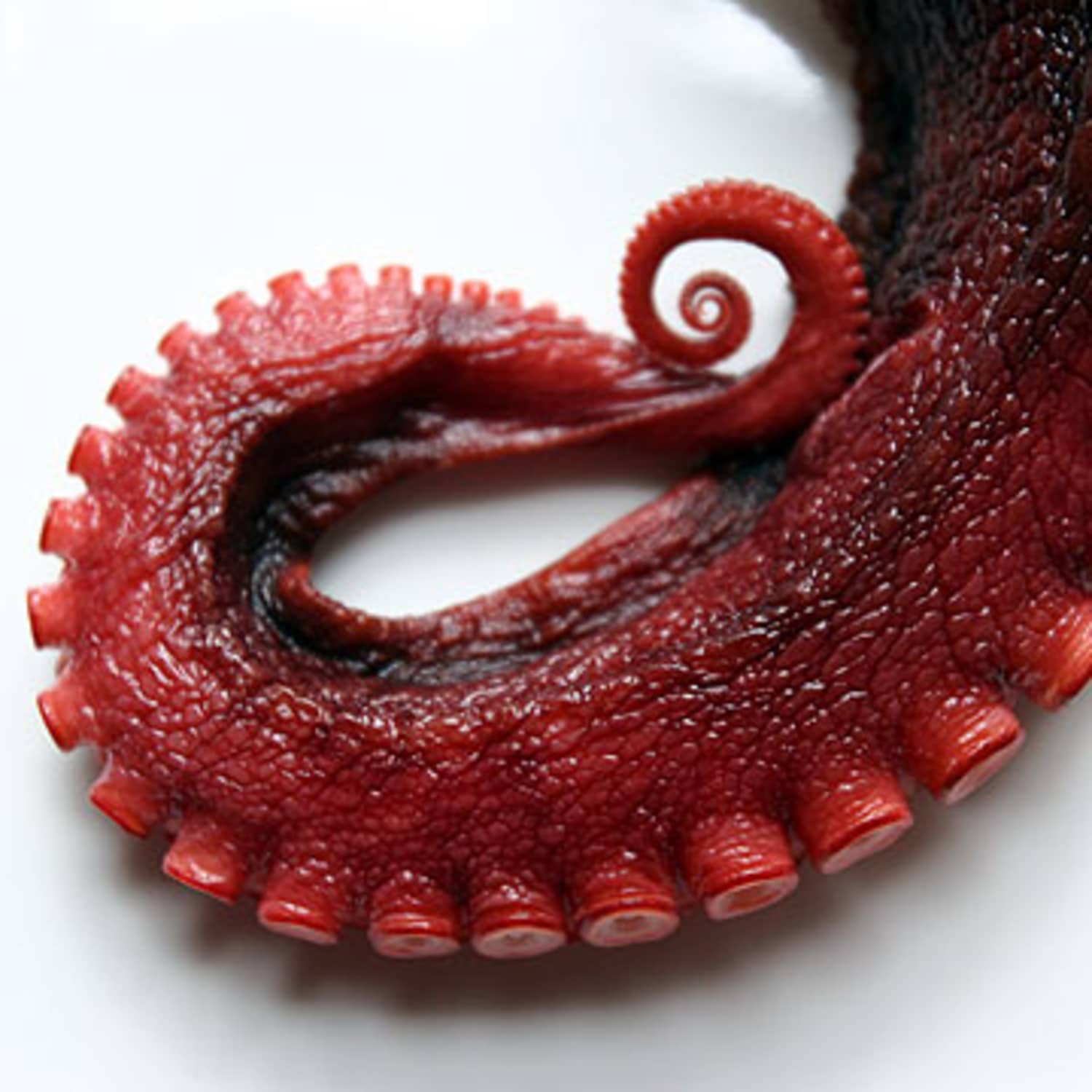 how to make octopus less chewy