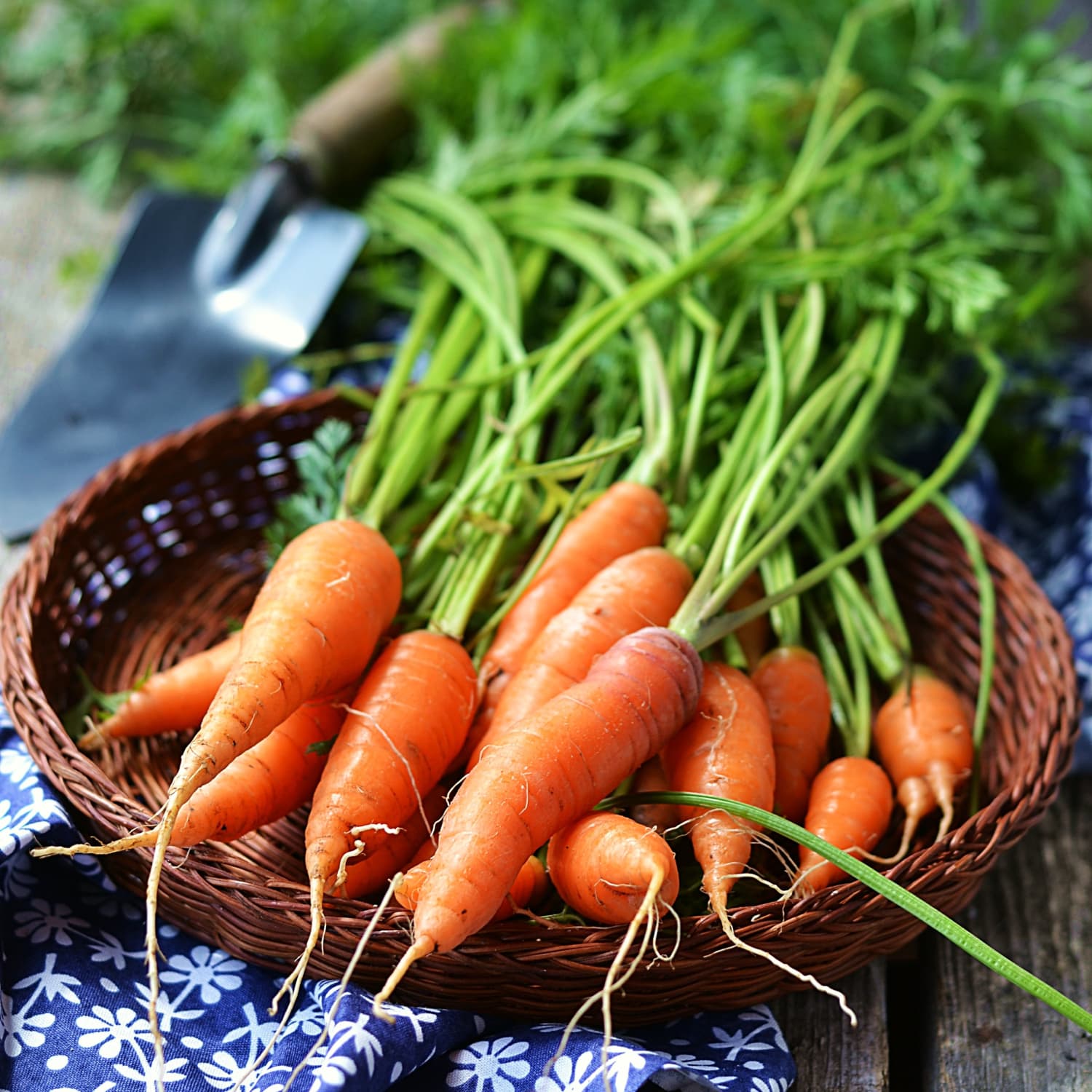 how to make carrots less bitter