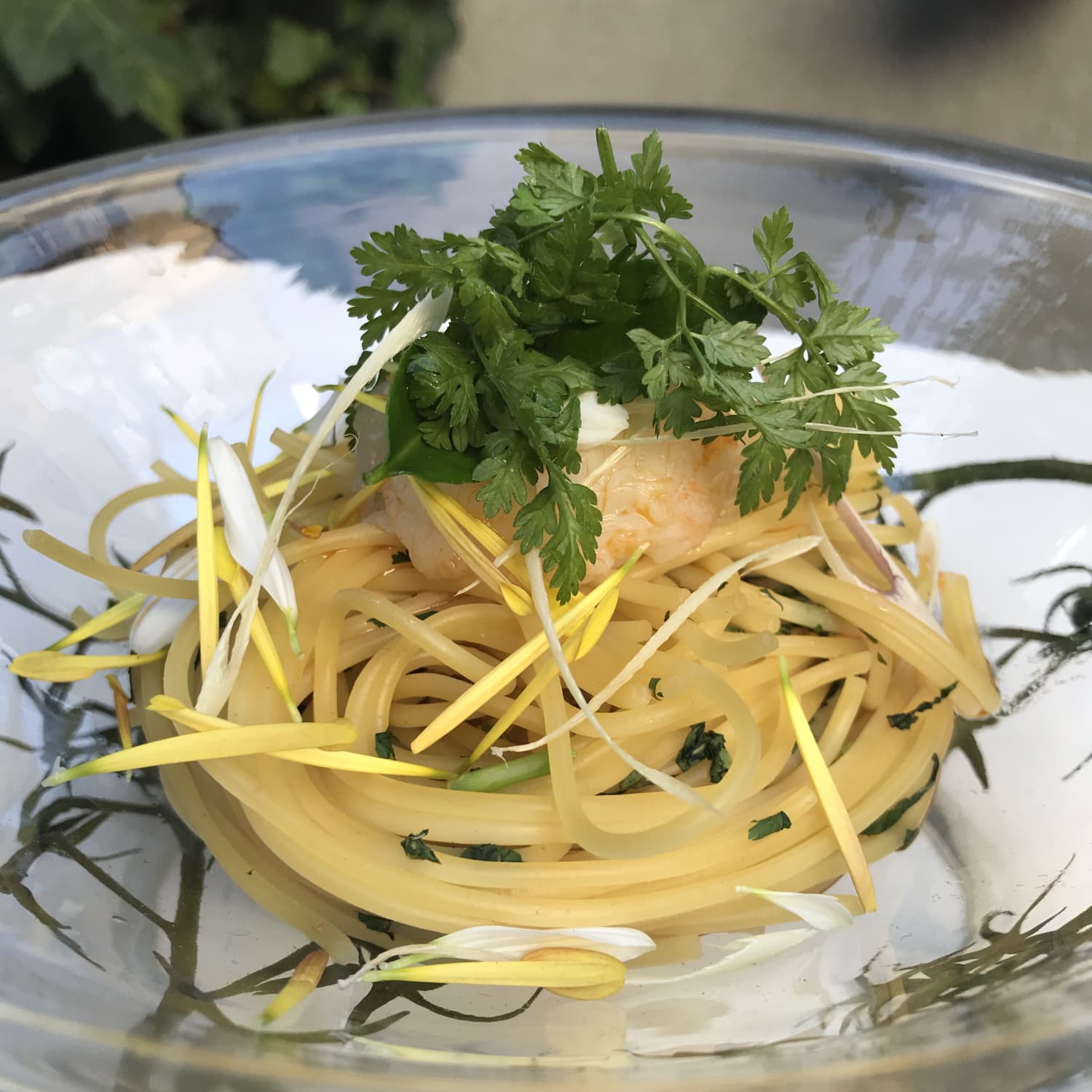 how to cook pasta twirls