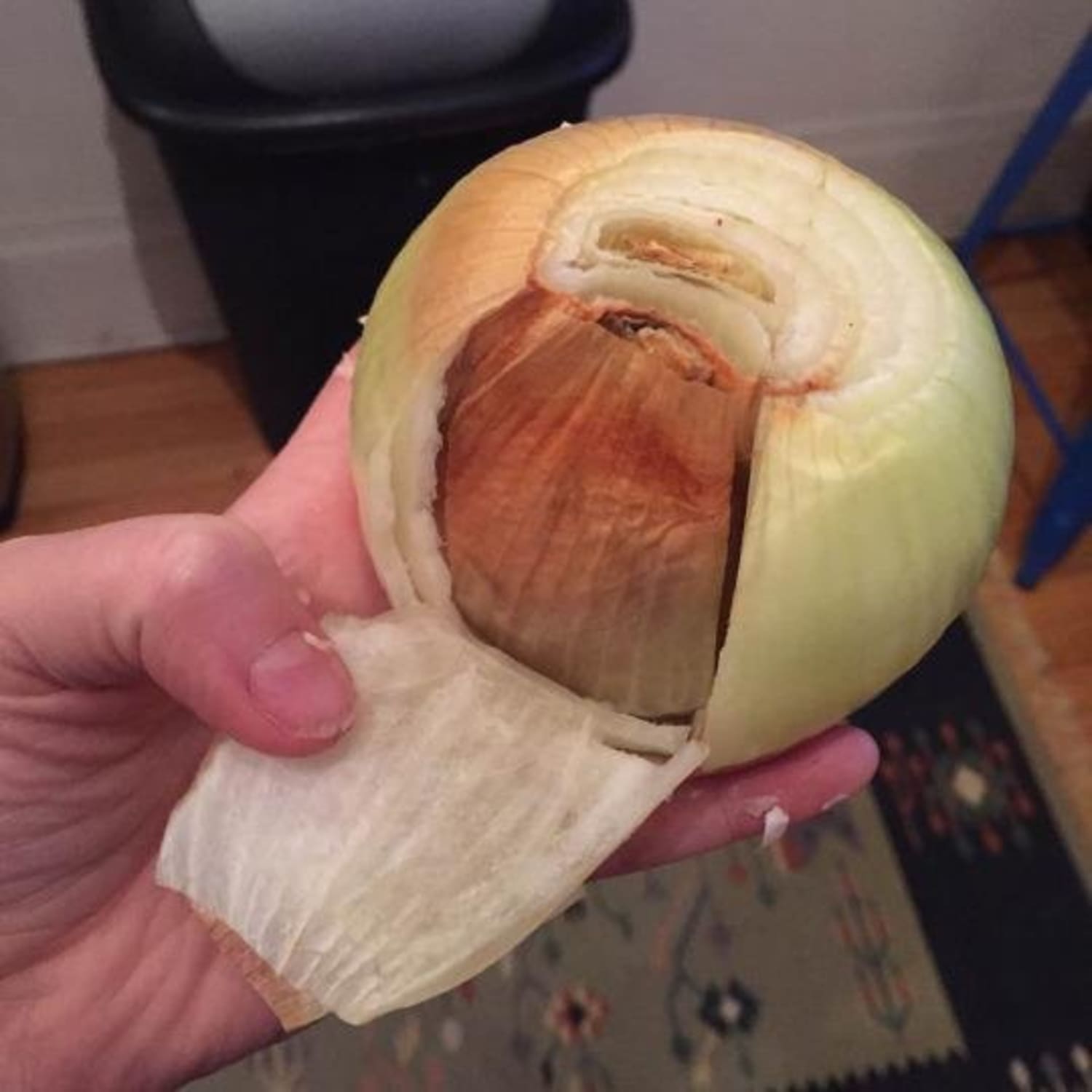 why does onions have layers