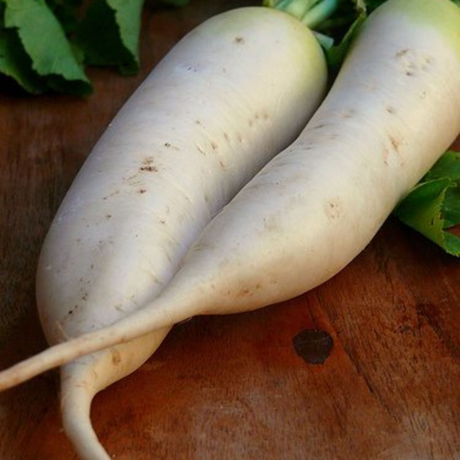 white root vegetable asian