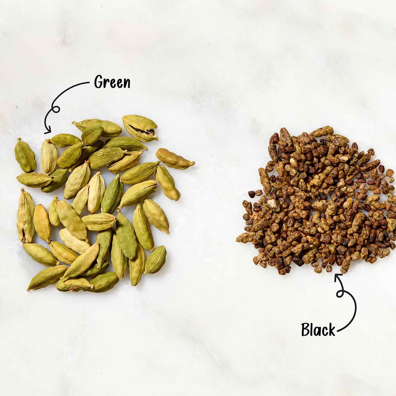 Spice House Cardamom Pods