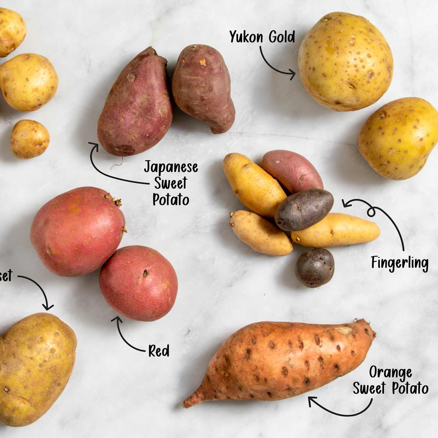 Small Potatoes Coloring Pages [2025]