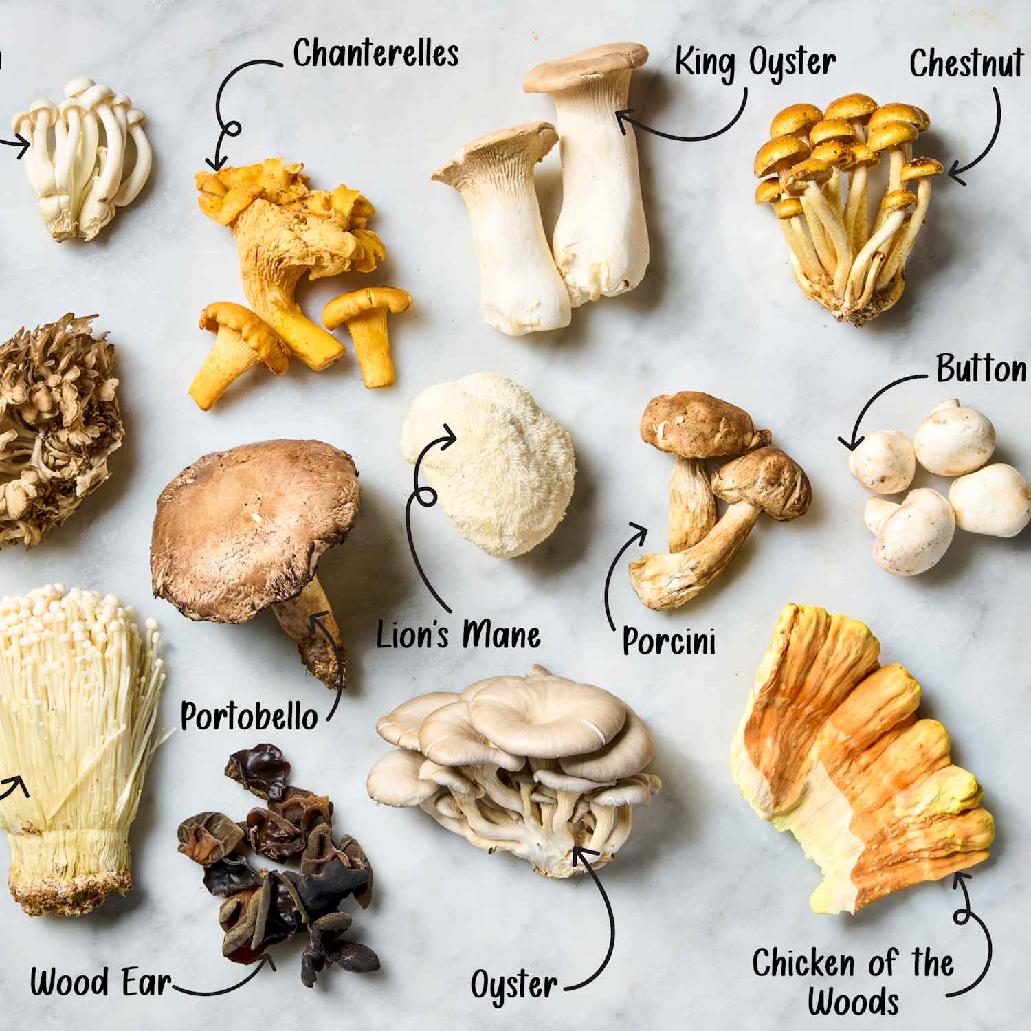 Types Of Fungi Vegetables