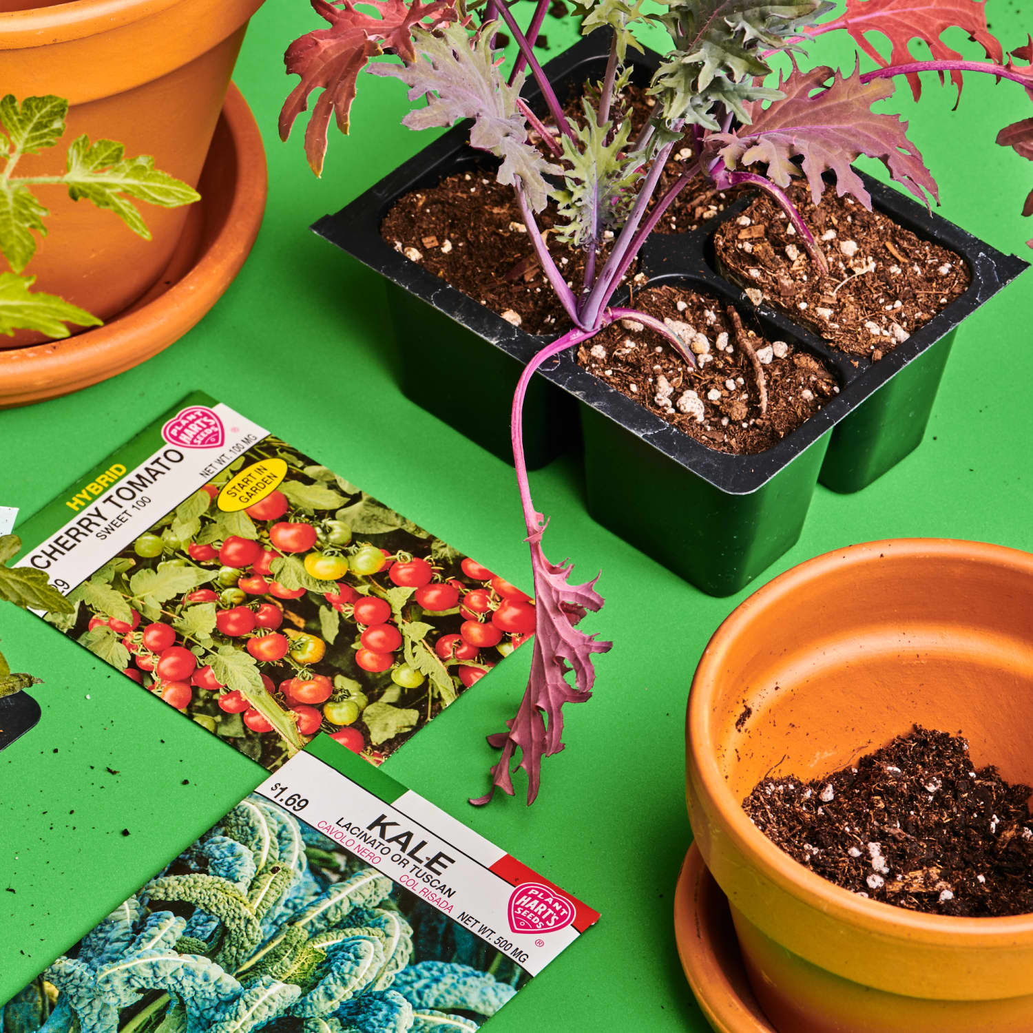 Grow Vegetables On Patio