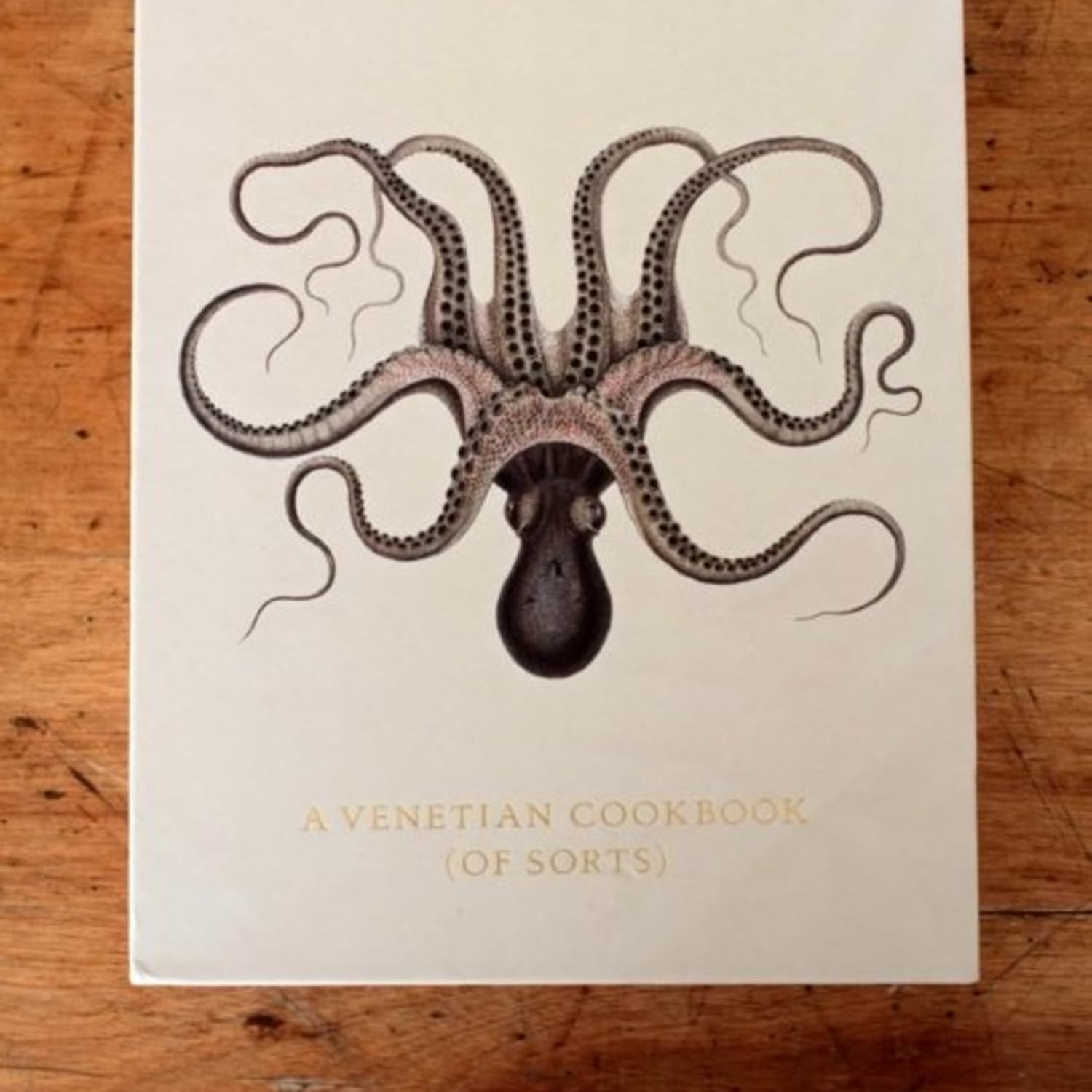 Polpo Recipe Book Pdf | Bryont Blog