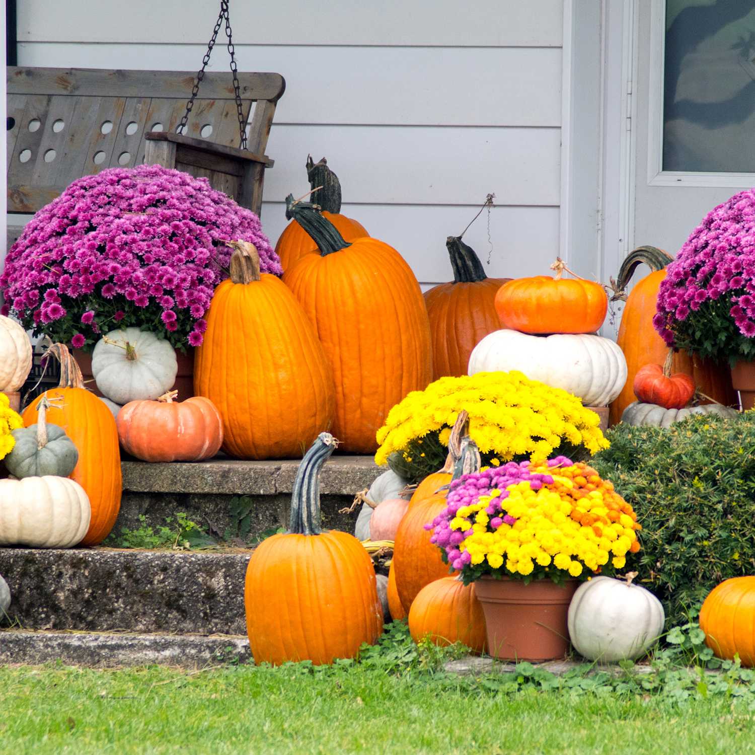 how to make pumpkin not rot