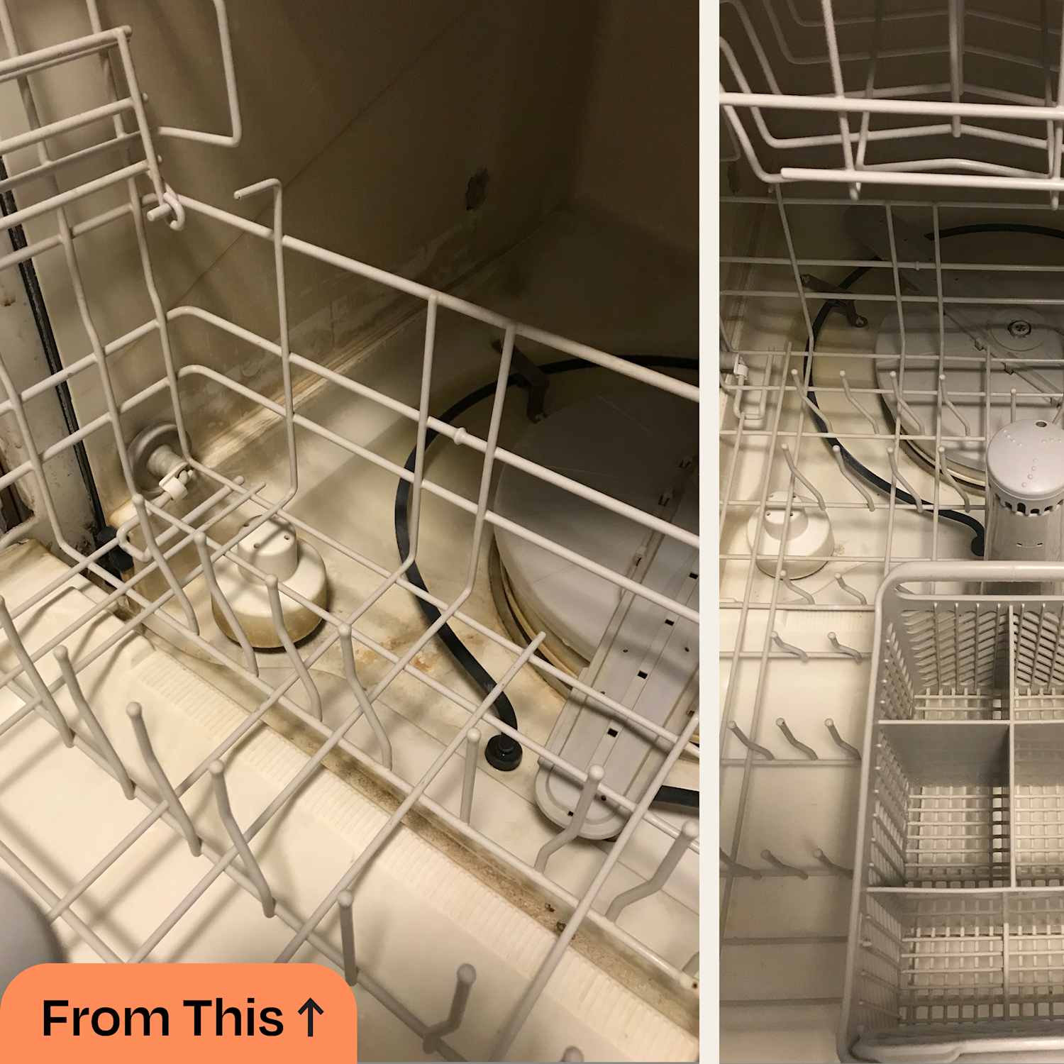 empty dishwasher cycle