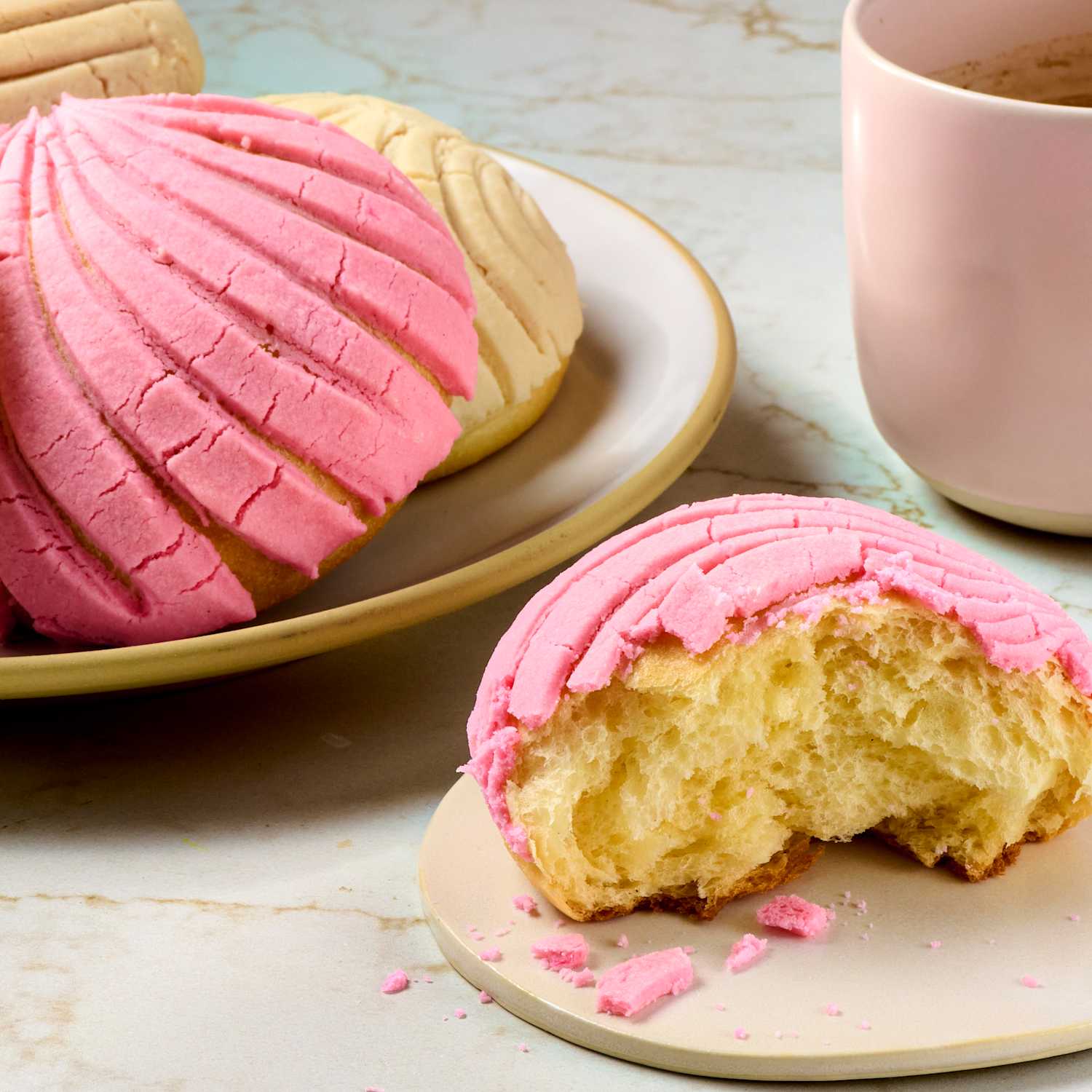 conchas coloring pages