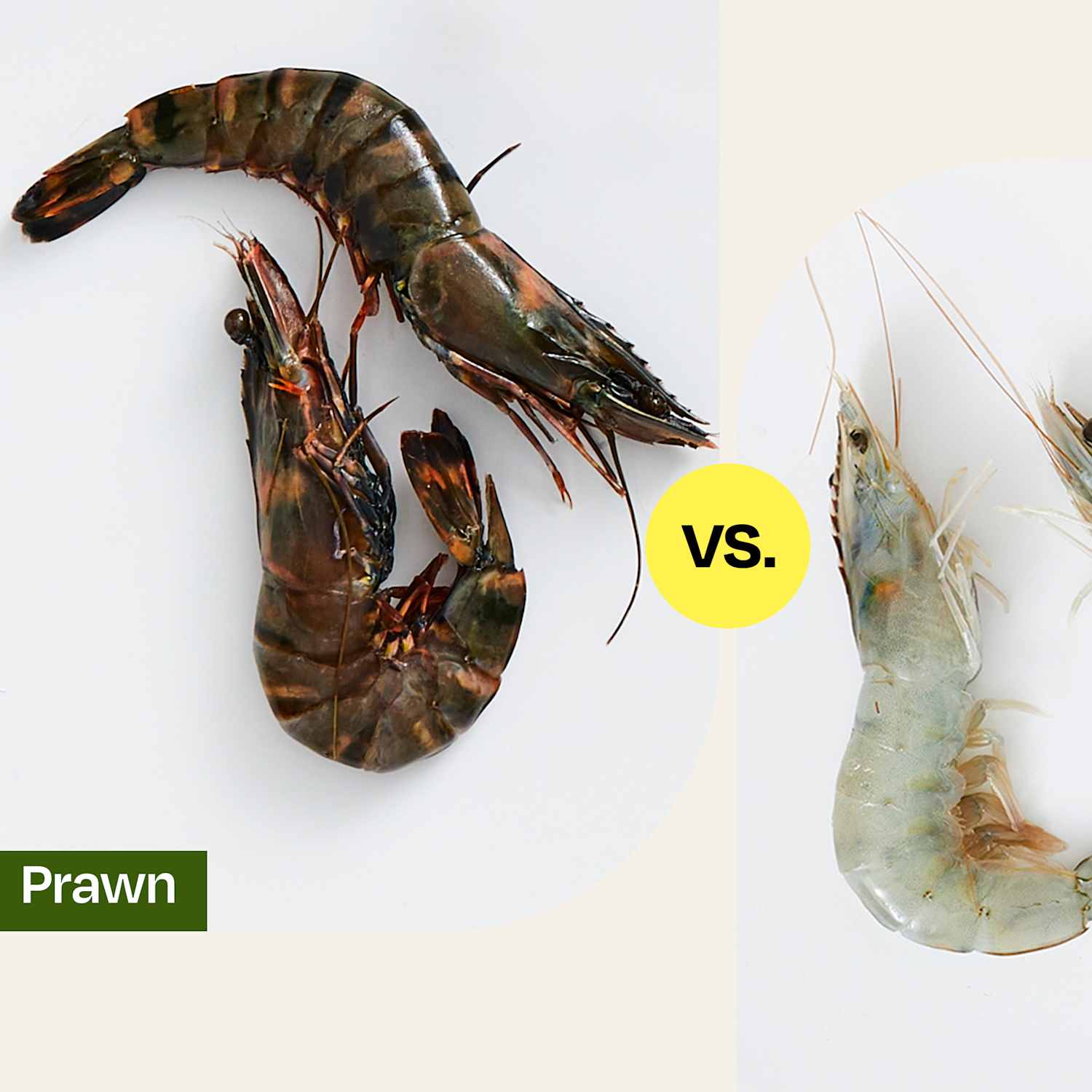 Prawn And Shrimp Difference