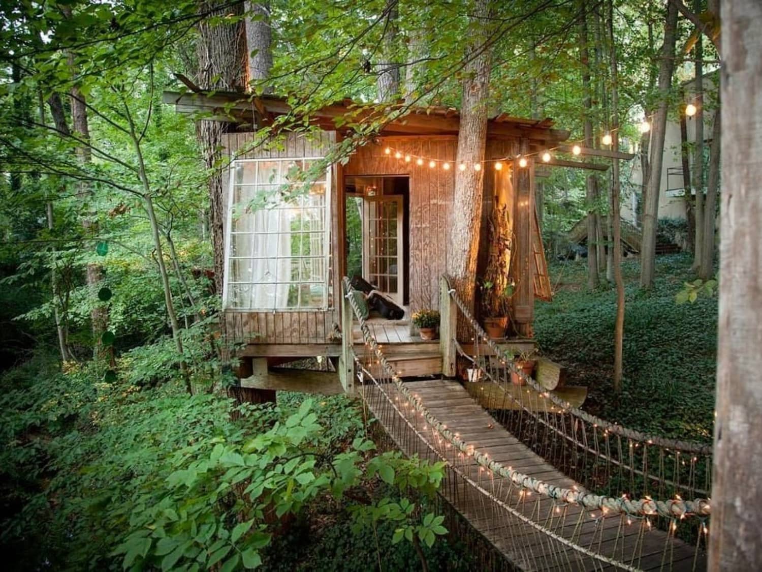 coolest tree house