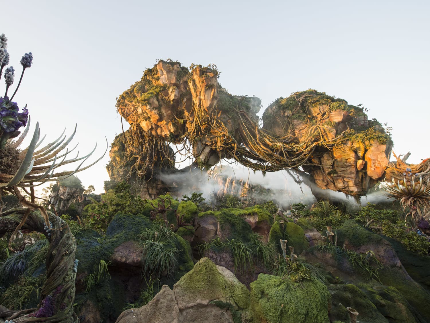 avatar looking plants