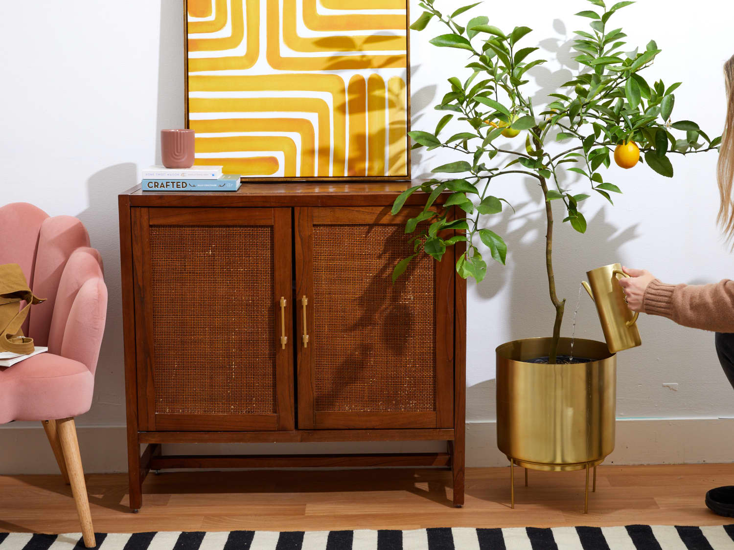 types of indoor lemon trees