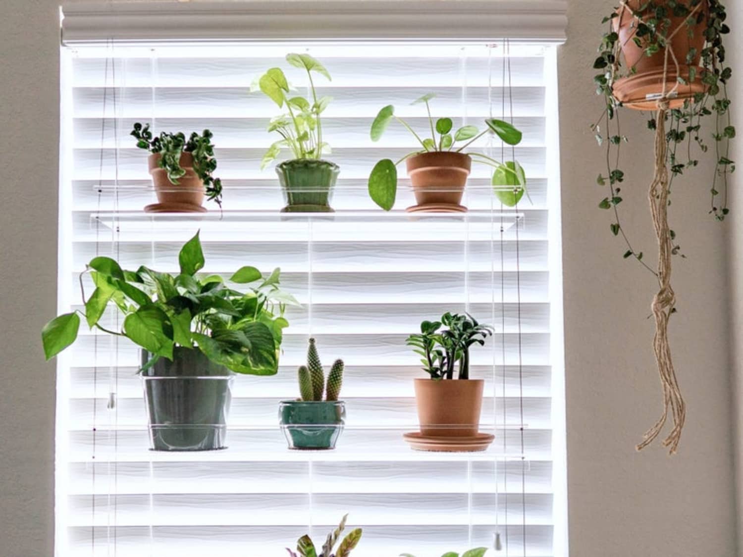 Outdoor Plant Shelf Window