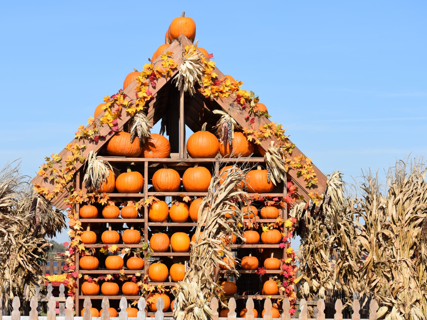 house pumpkins