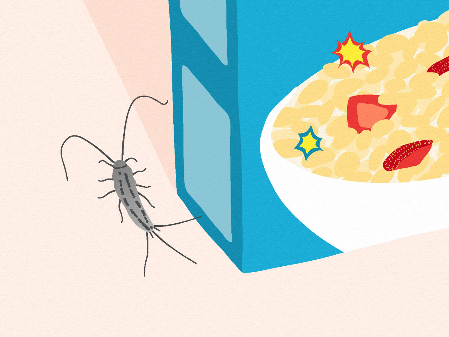 Silverfish Bug In Bed Silverfish Prevention And Removal