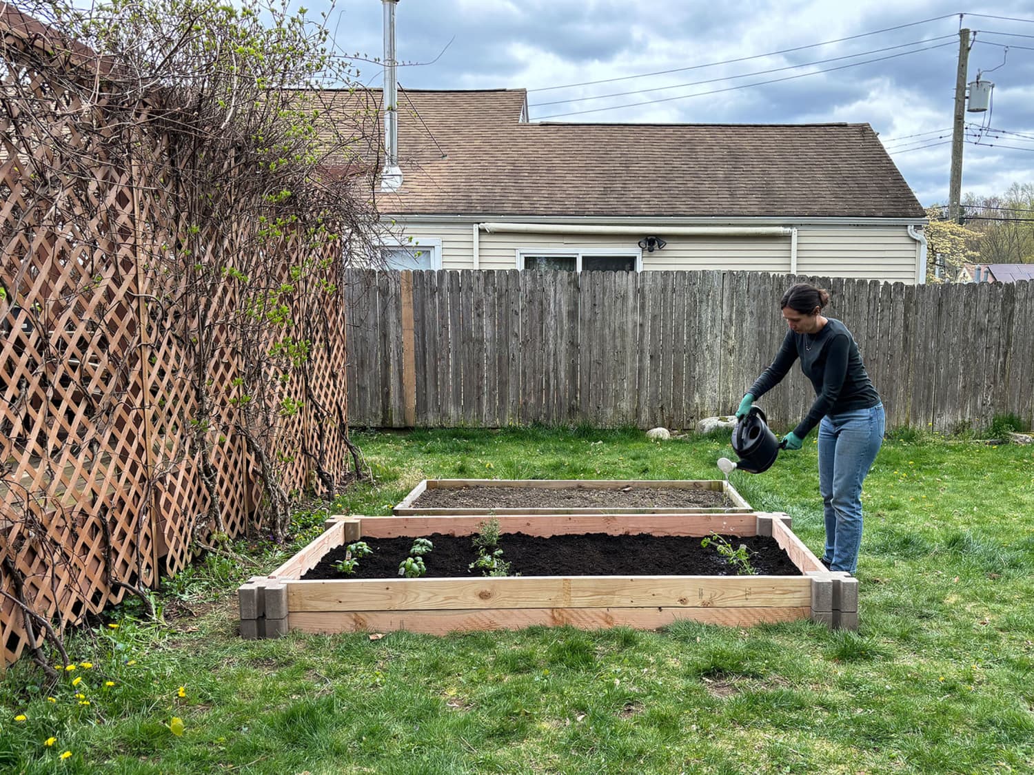 Hydroponic Raised Bed Garden