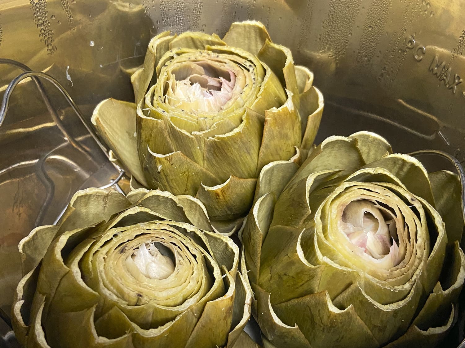 how to cook artichokes with a pressure cooker