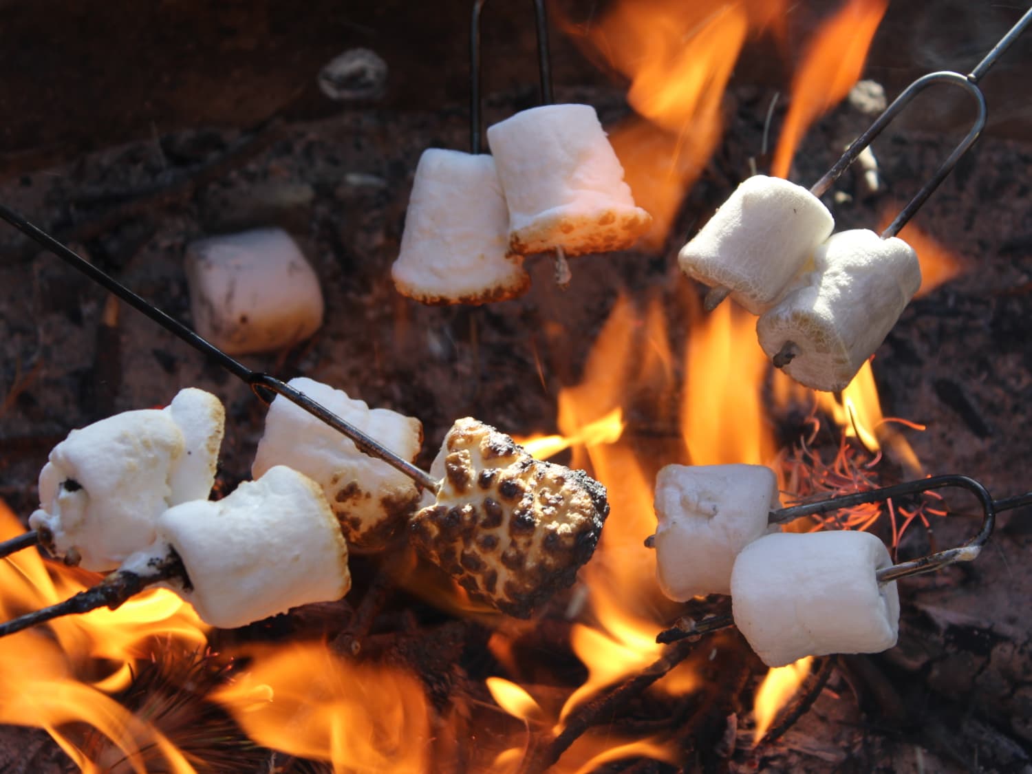 marshmallow roasted