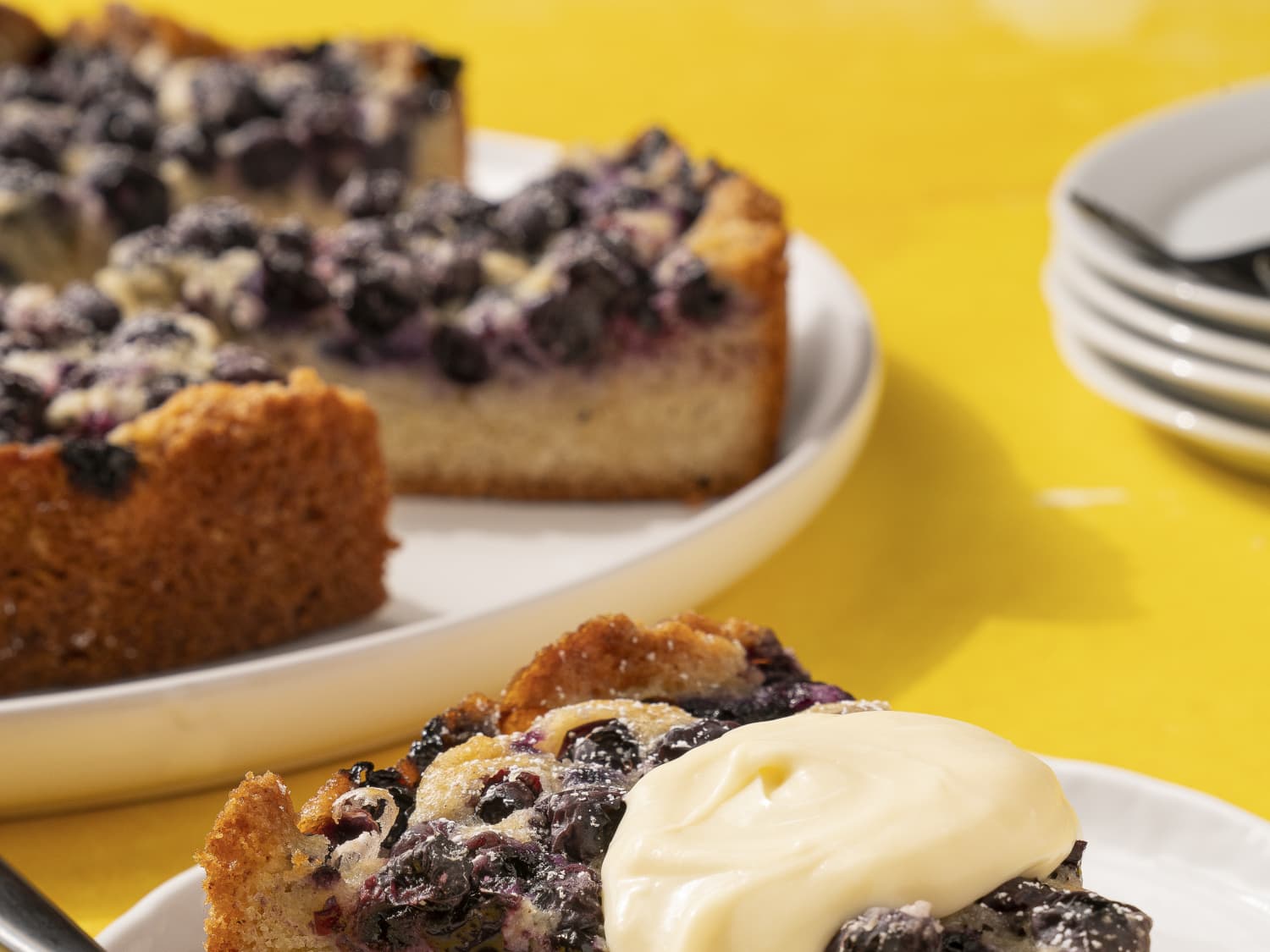 blueberry cake description