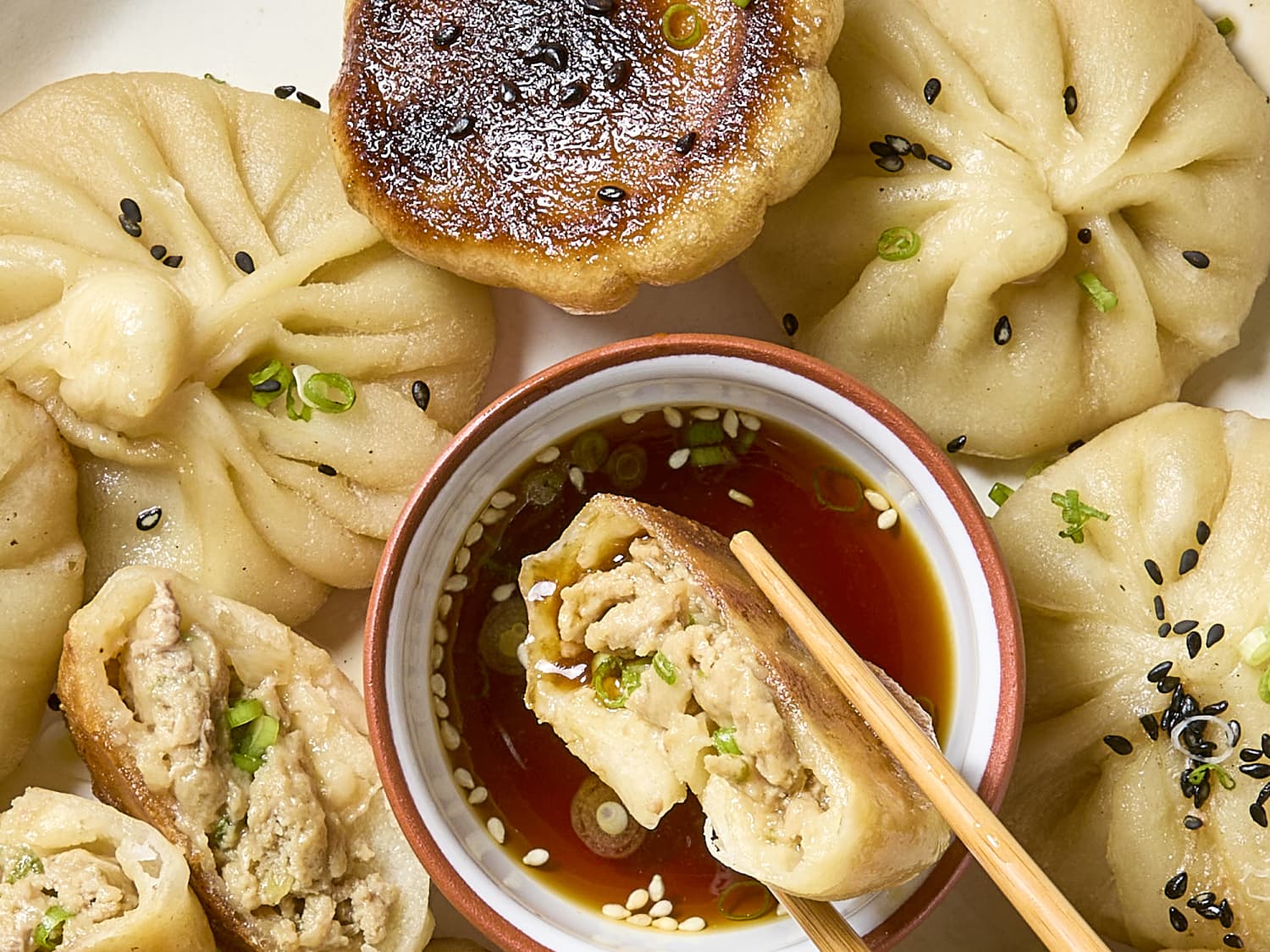 how to cook dumplings in pan