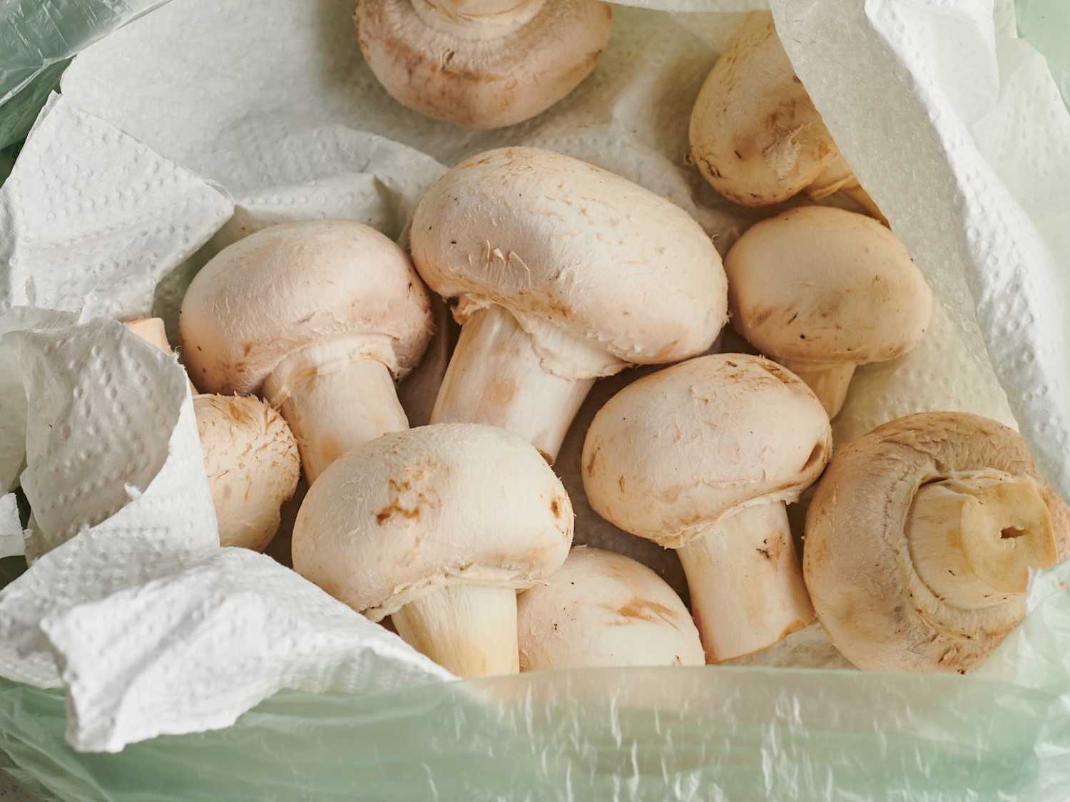 how to make mushrooms keep longer