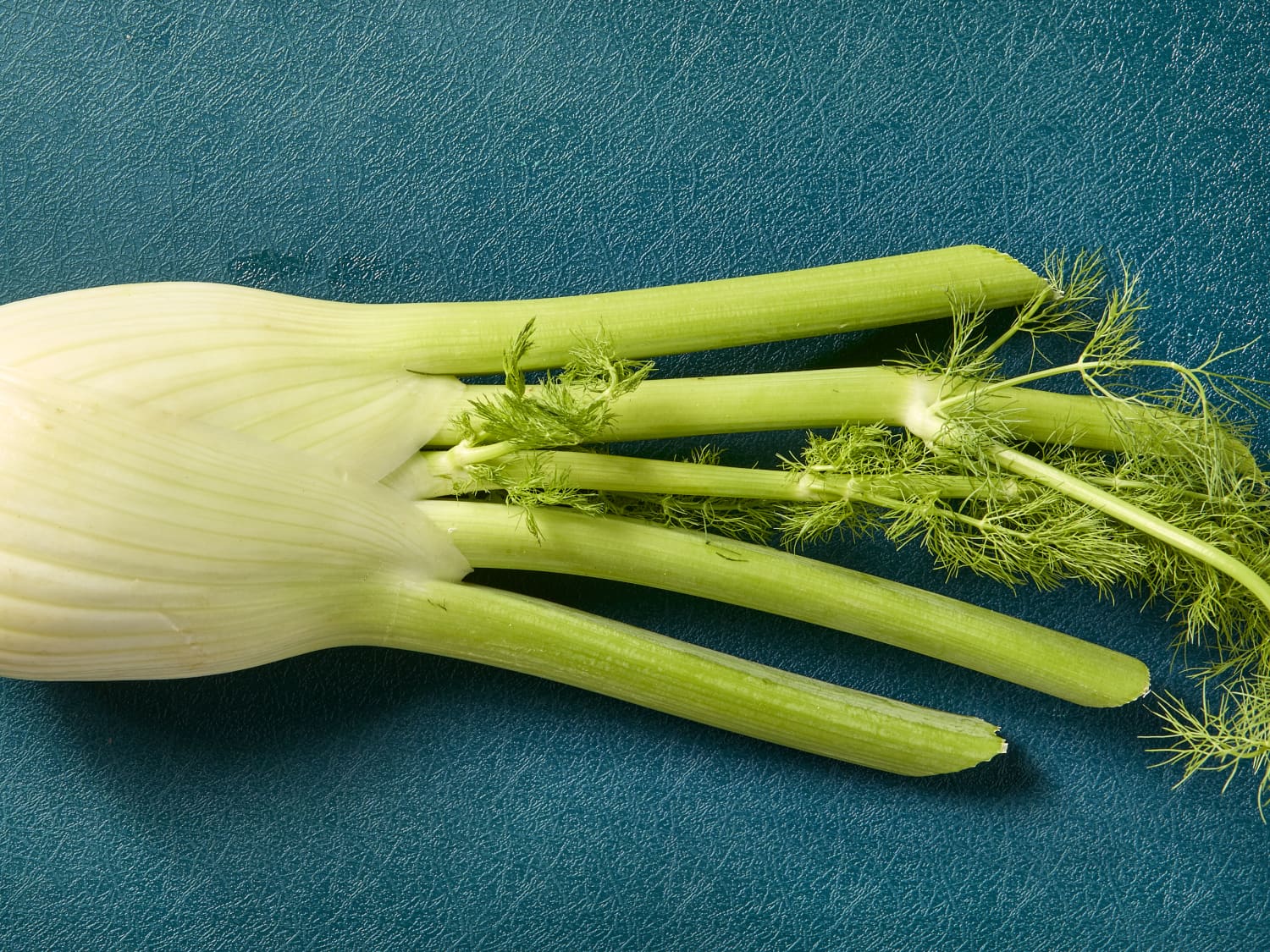 fennel drooping