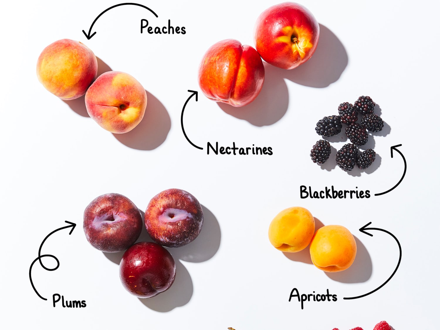 nectar fruit