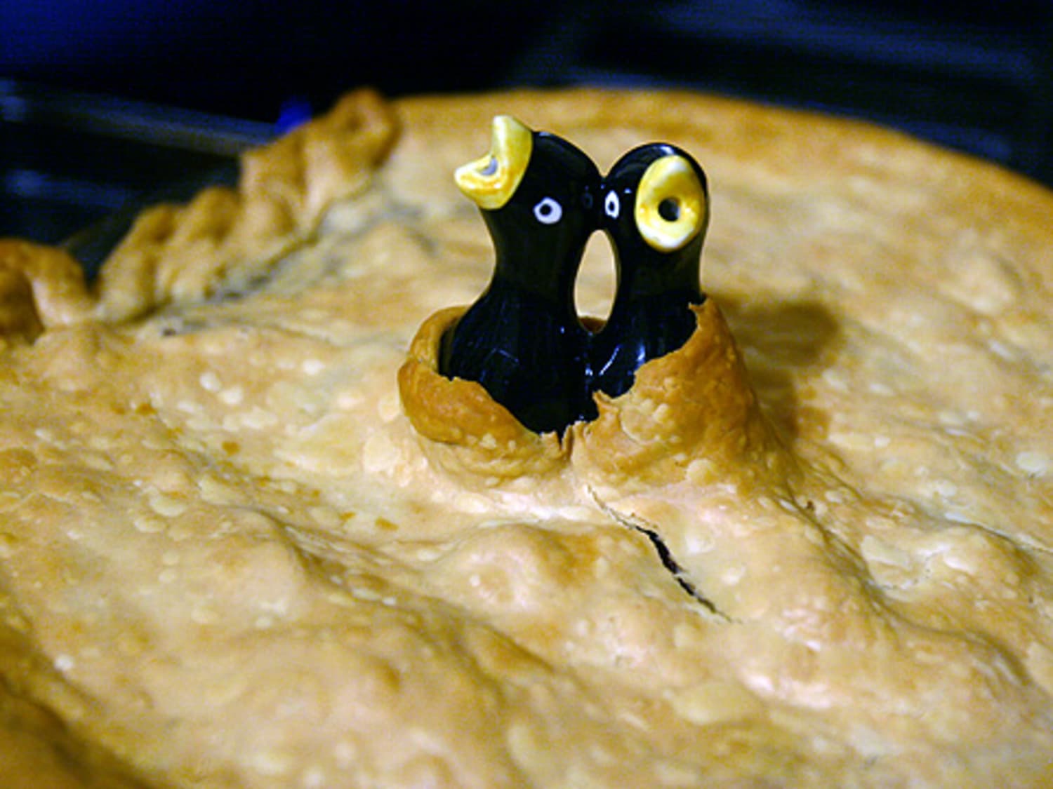 pie blackbird ceramic