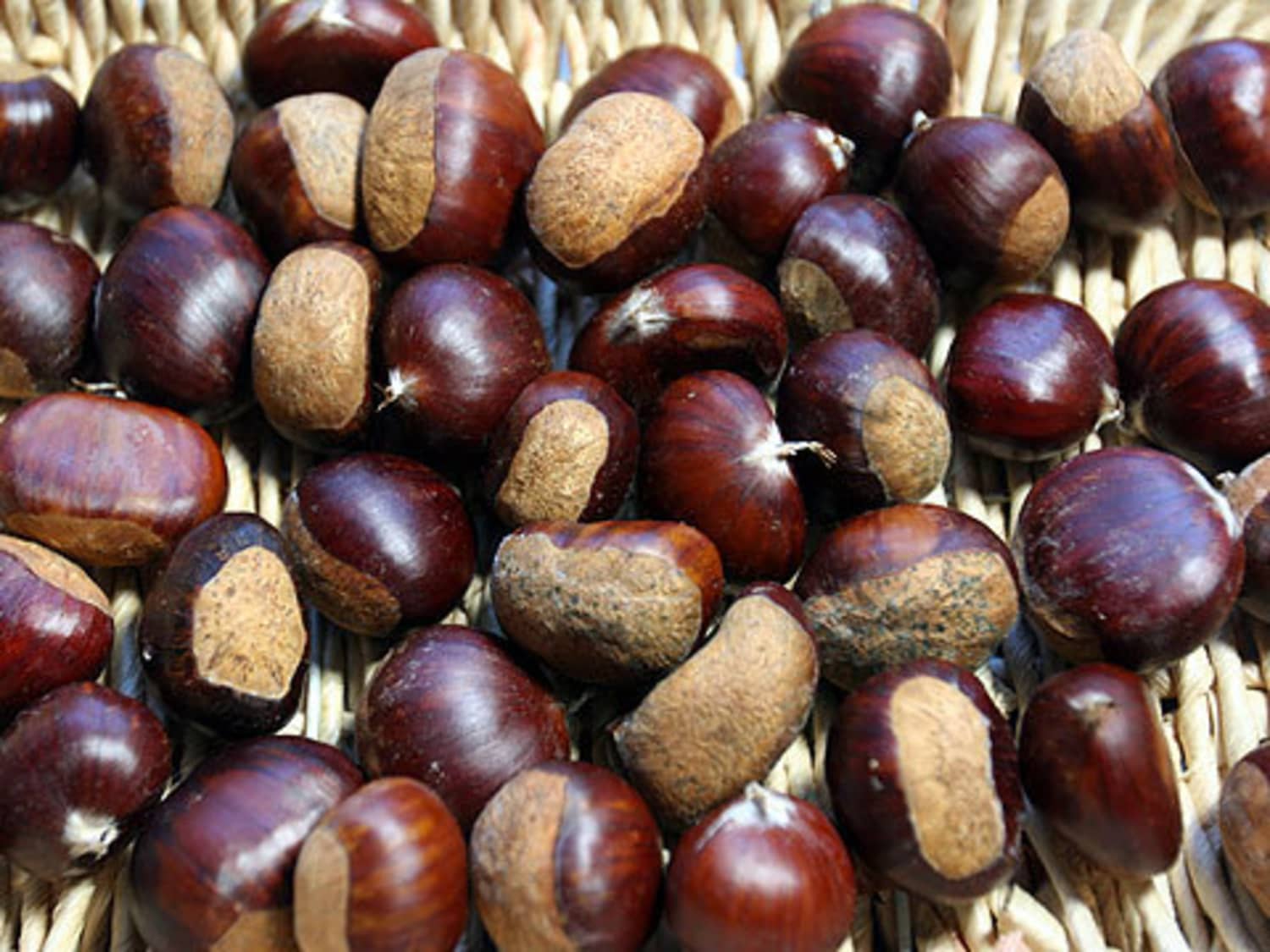 how to prepare edible chestnuts