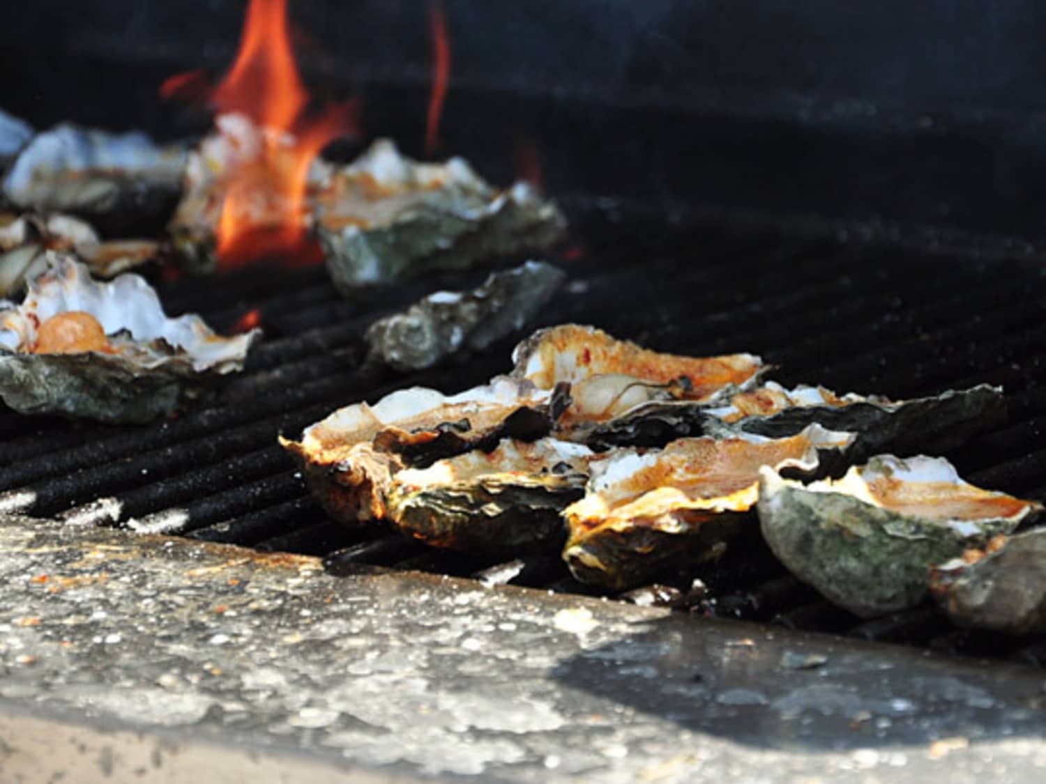 how to cook oysters in the shell on the bbq
