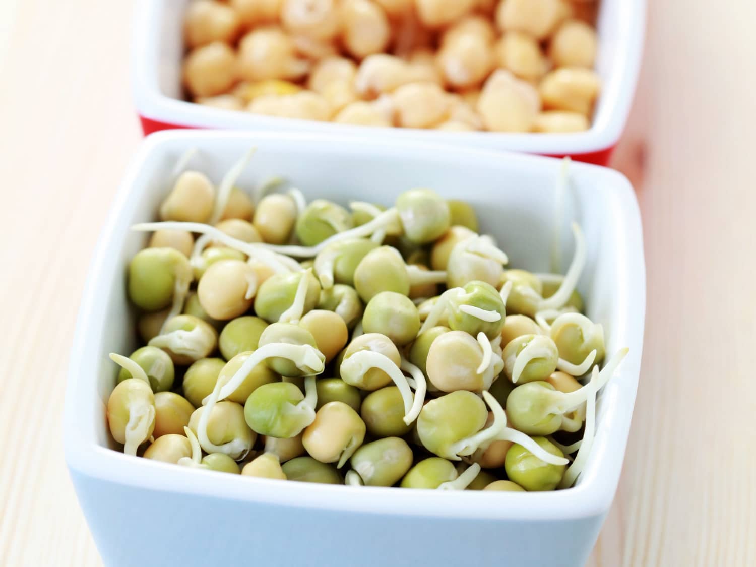 sprouted seeds examples