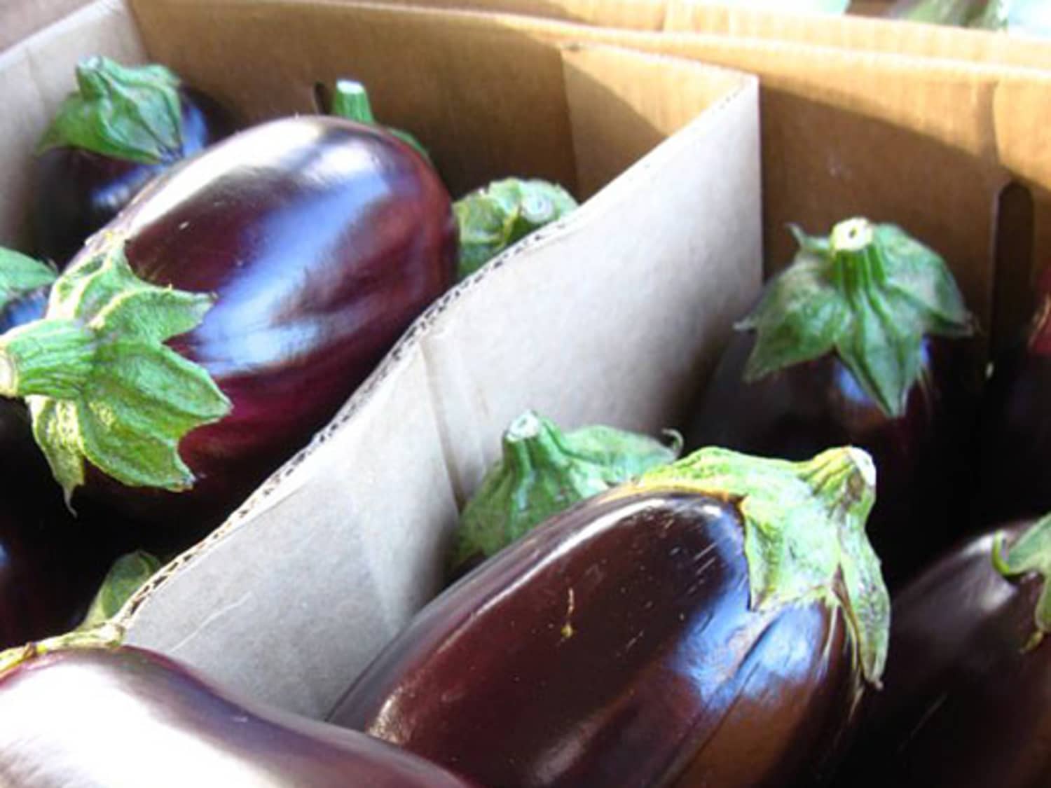 how to cook eggplant on open flame