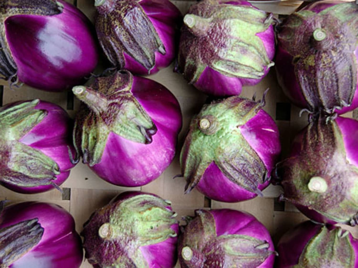 how to make eggplant not bitter