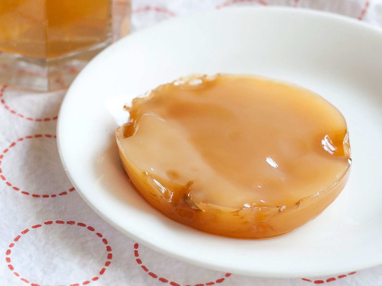 kombucha scoby