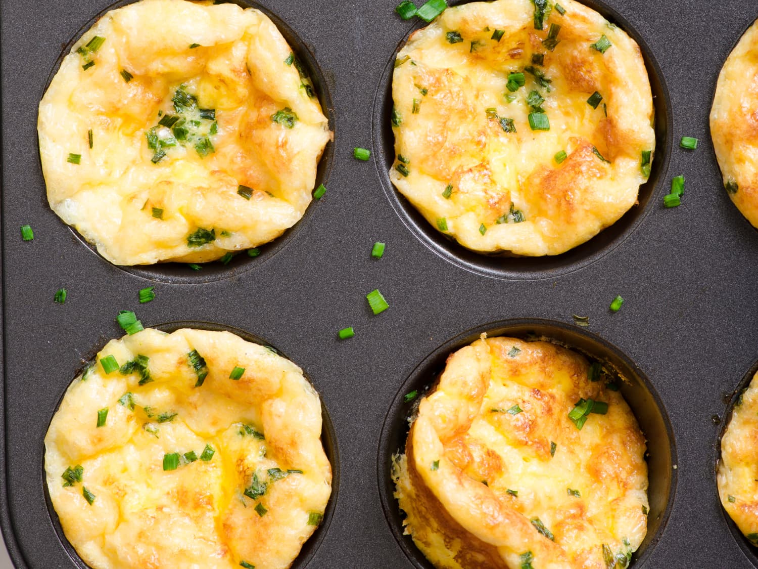 homemade quickfencer