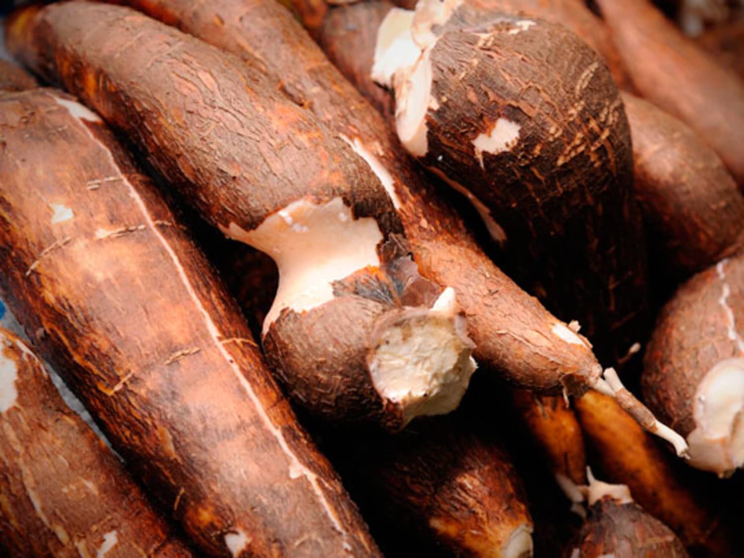 how to cook bitter cassava