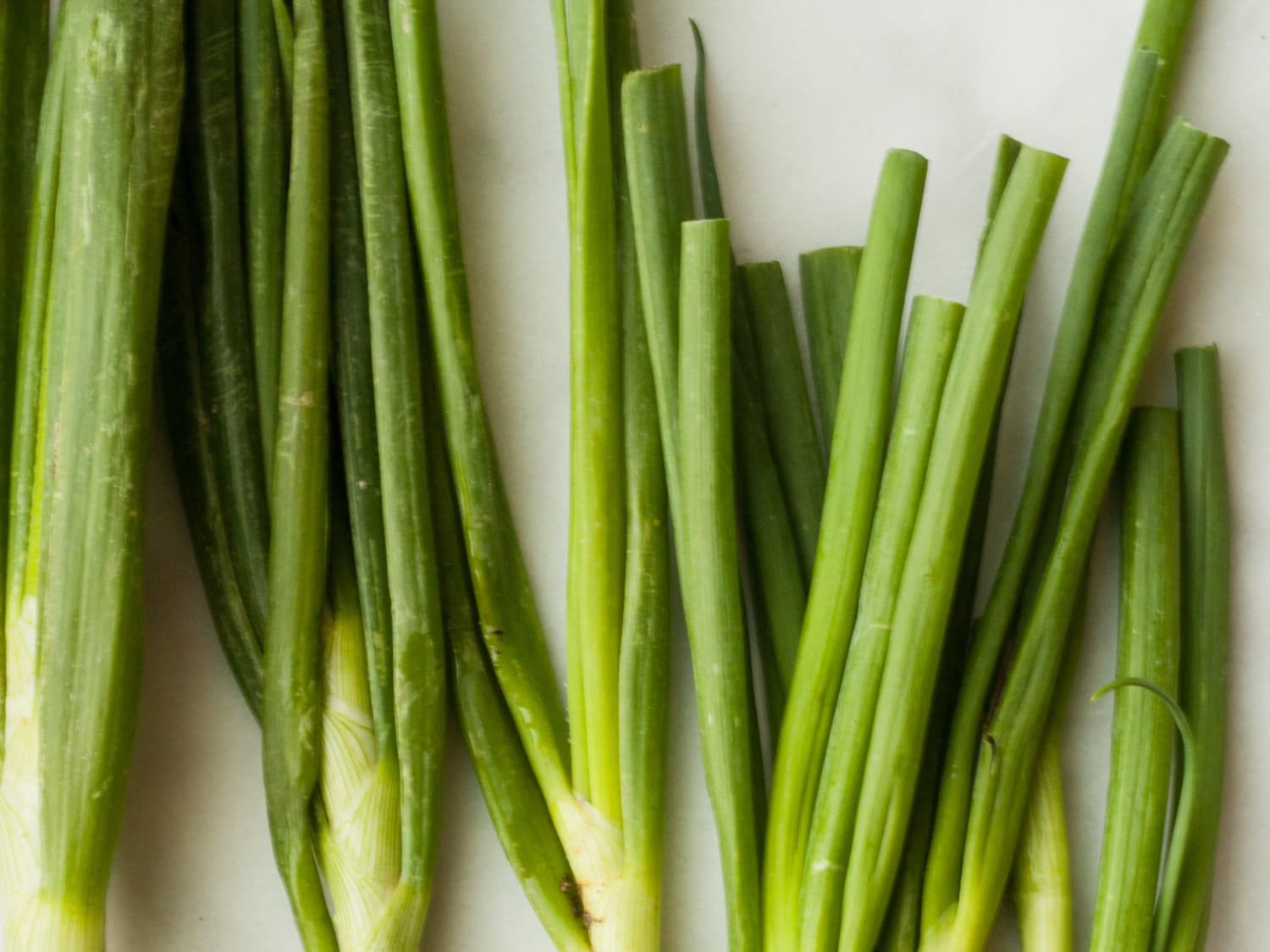 spring onion vegetable or fruit
