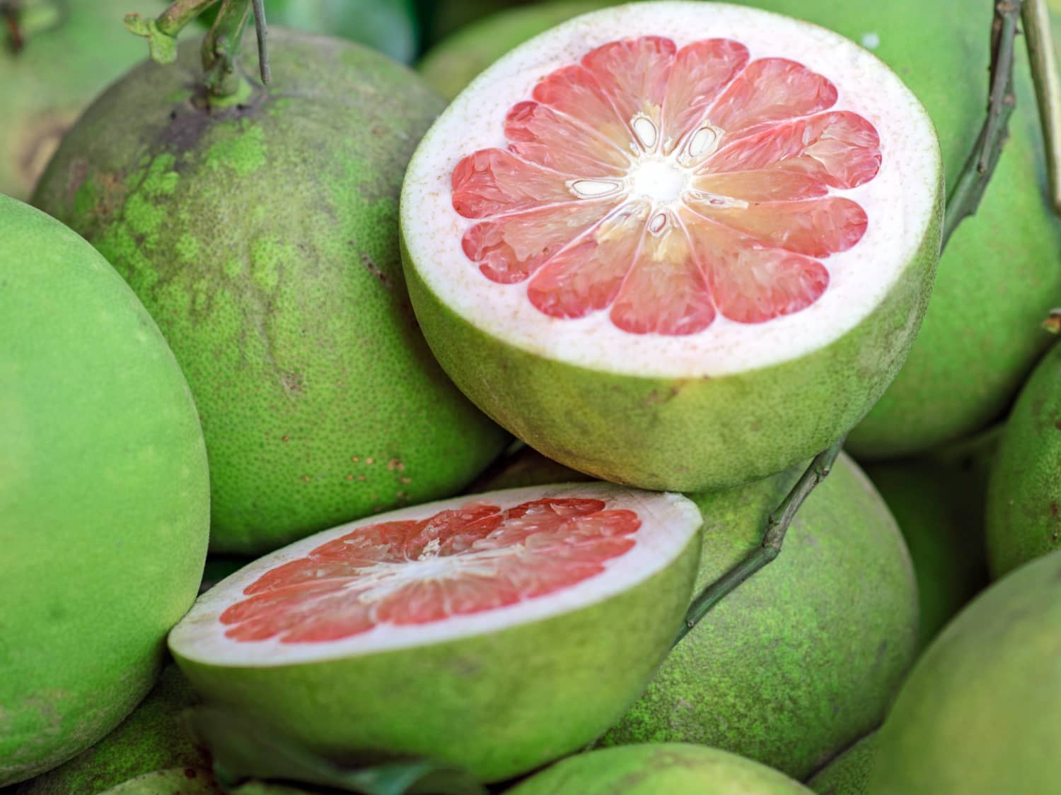 pomelo category