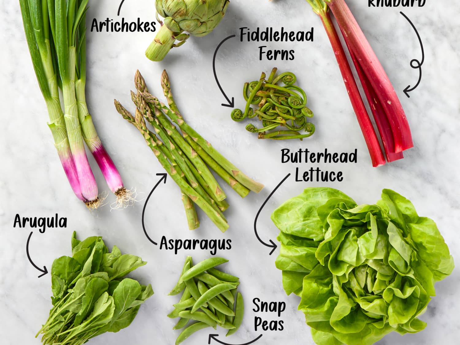 Types Of Stem Vegetables FOOD & KITCHEN :: FOOD :: VEGETABLES