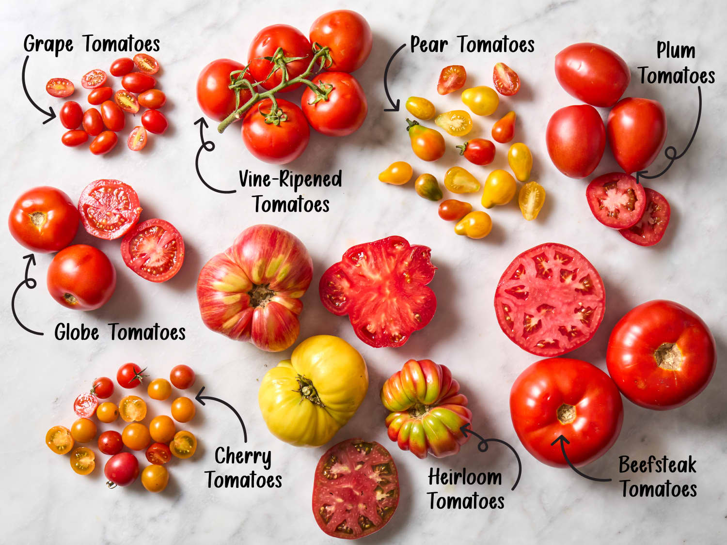 How to grow Tomato at home / beginner vegetable gardening