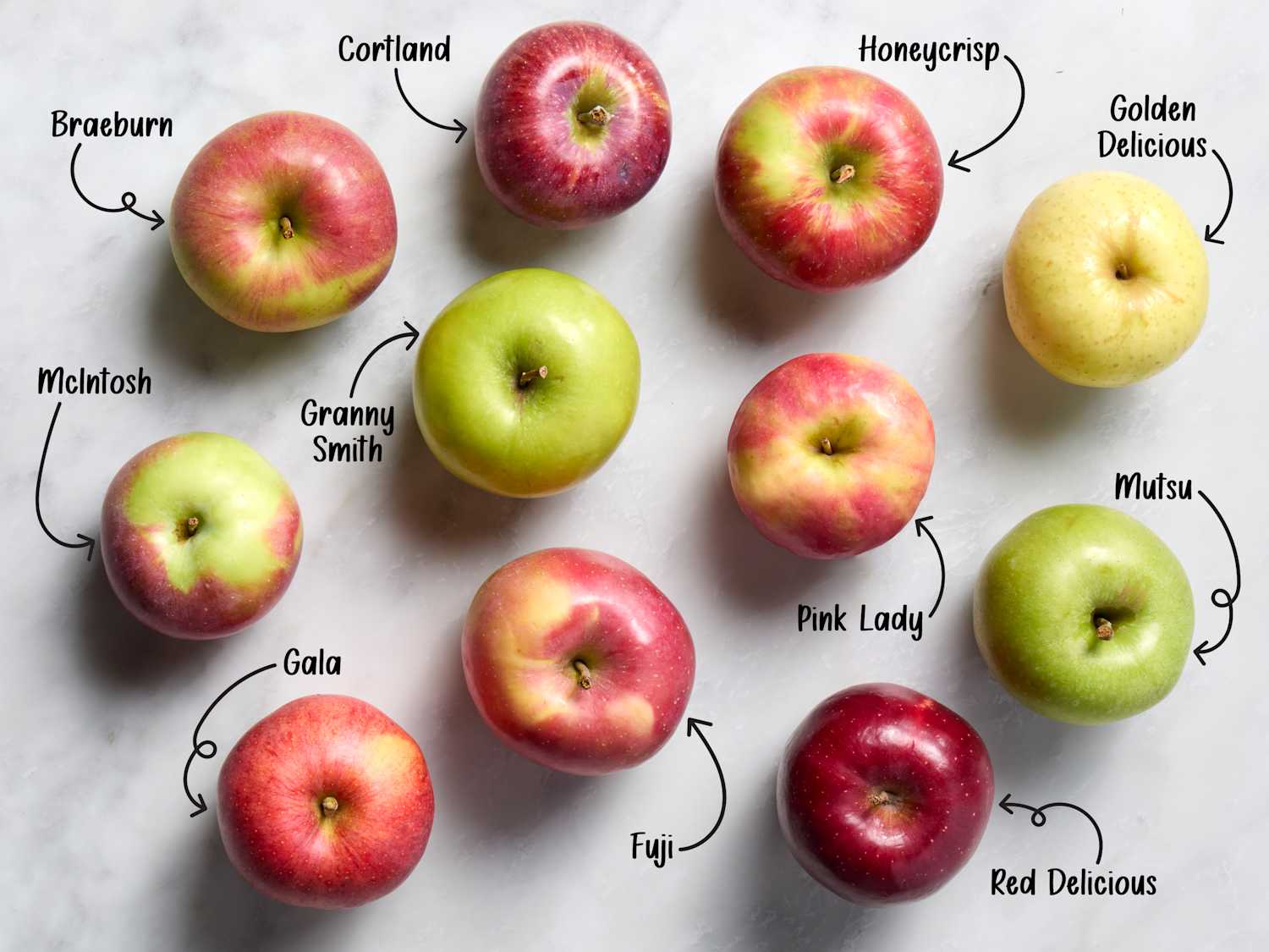 Apple Varieties List