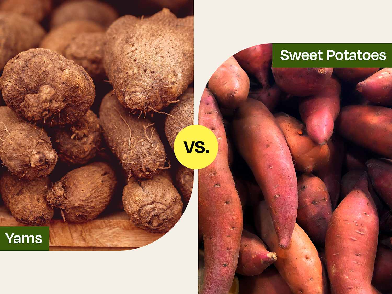 Yam Vs Sweet Potato Plant