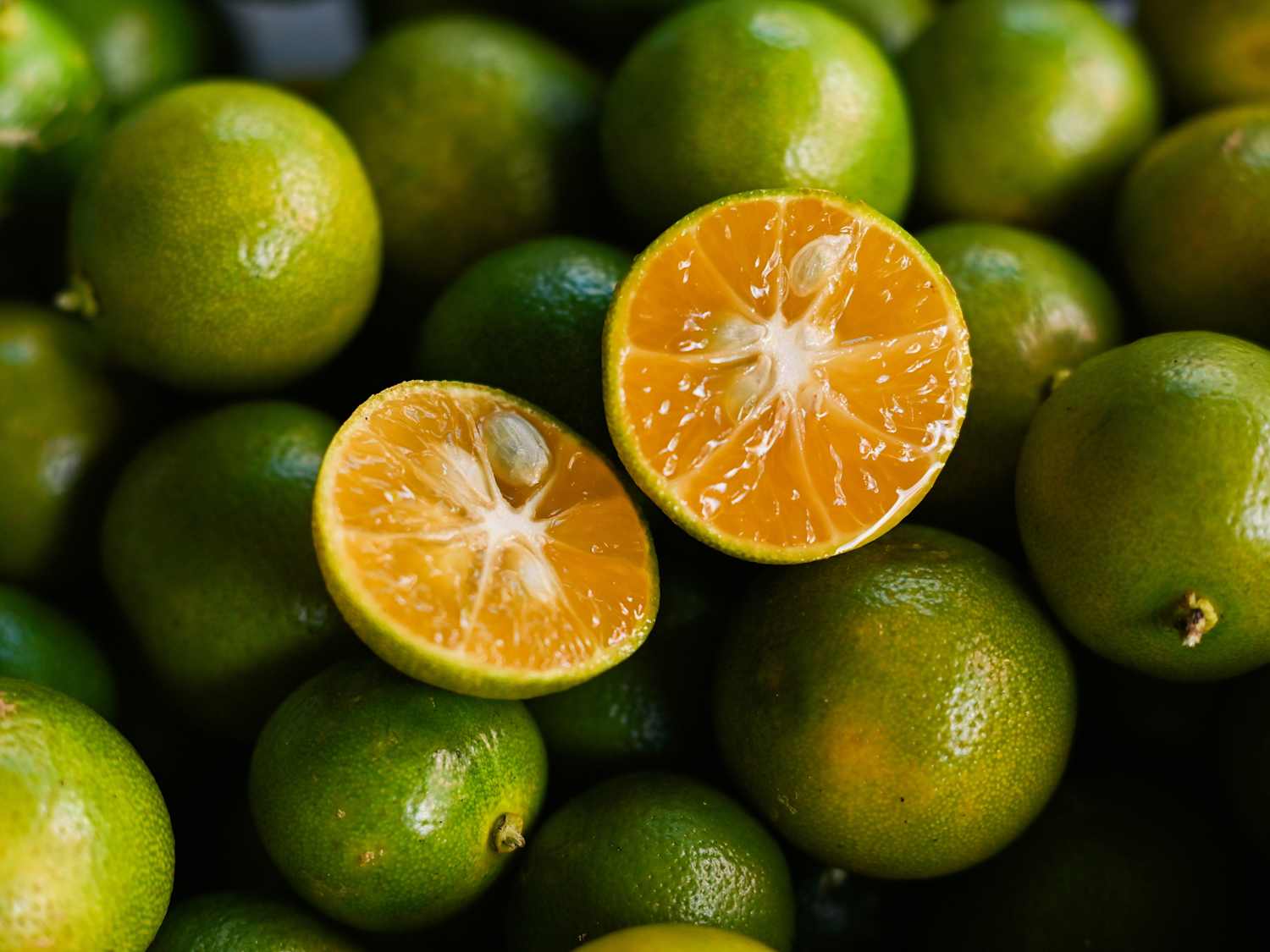calamansi uk