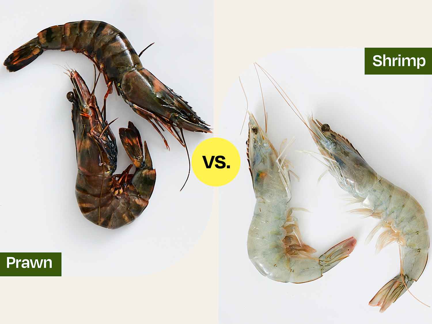 Tiger Prawns Vs King Prawns
