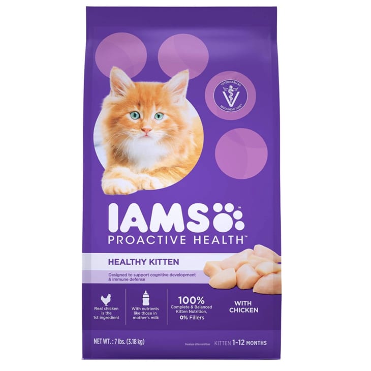 Best Adult Cat And Kitten Food Brands According To A Vet Kitchn
