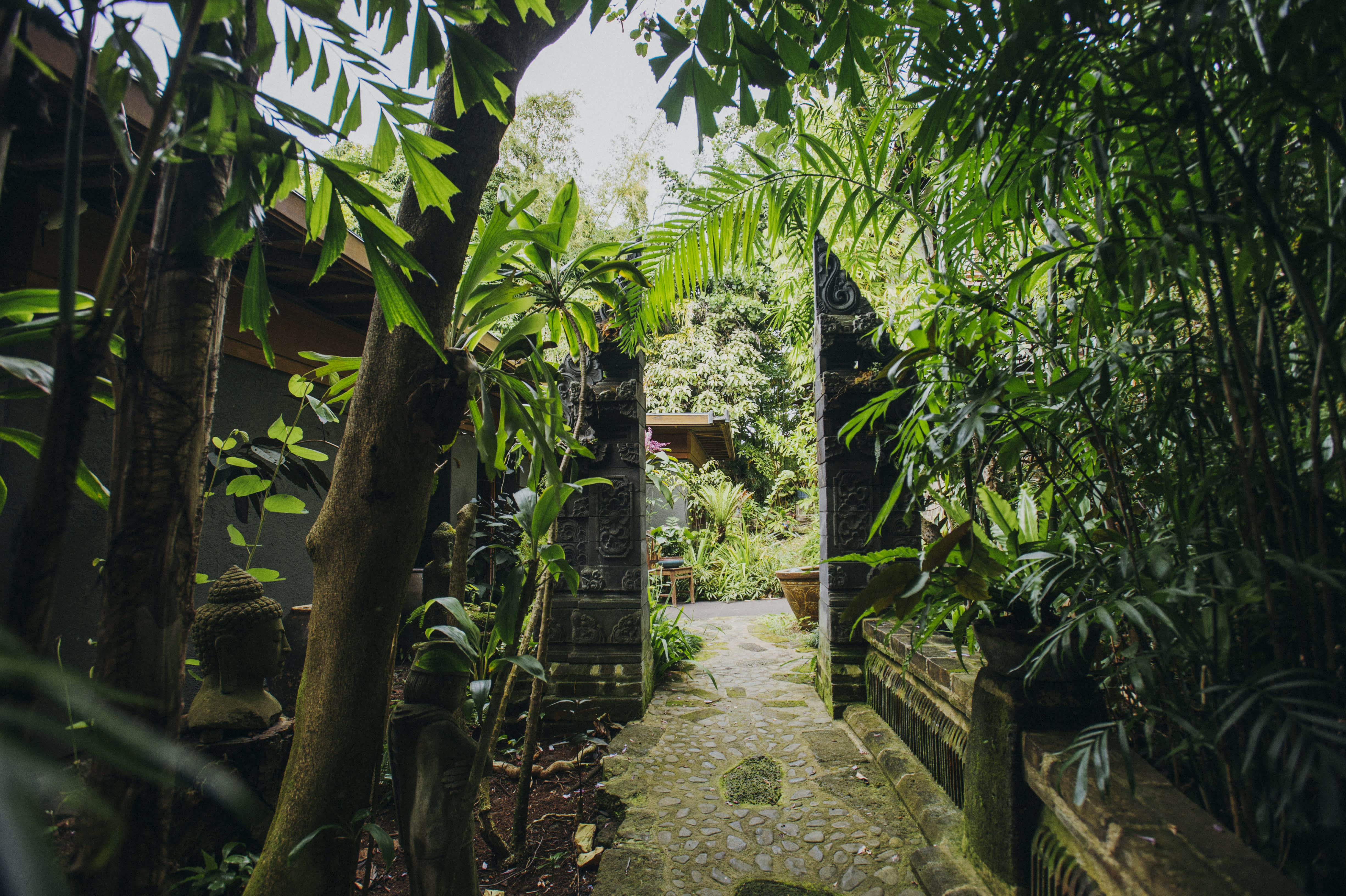 Rustic Bohemian Hawaii Home Surrounded by Jungle | Apartment Therapy